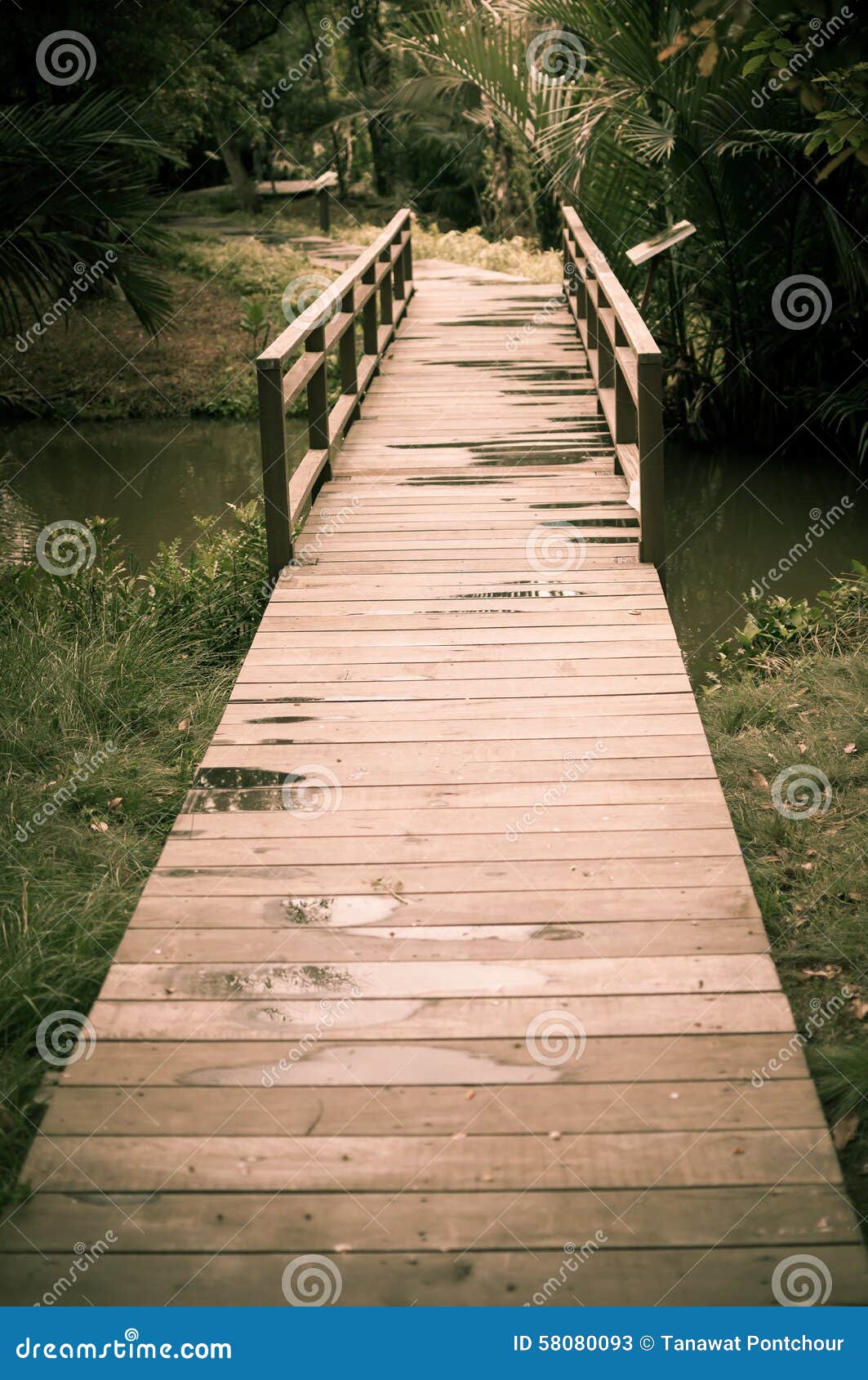 Bridge In Pathway Of A Trail Used For Trekking Inside Kinabalu National ...