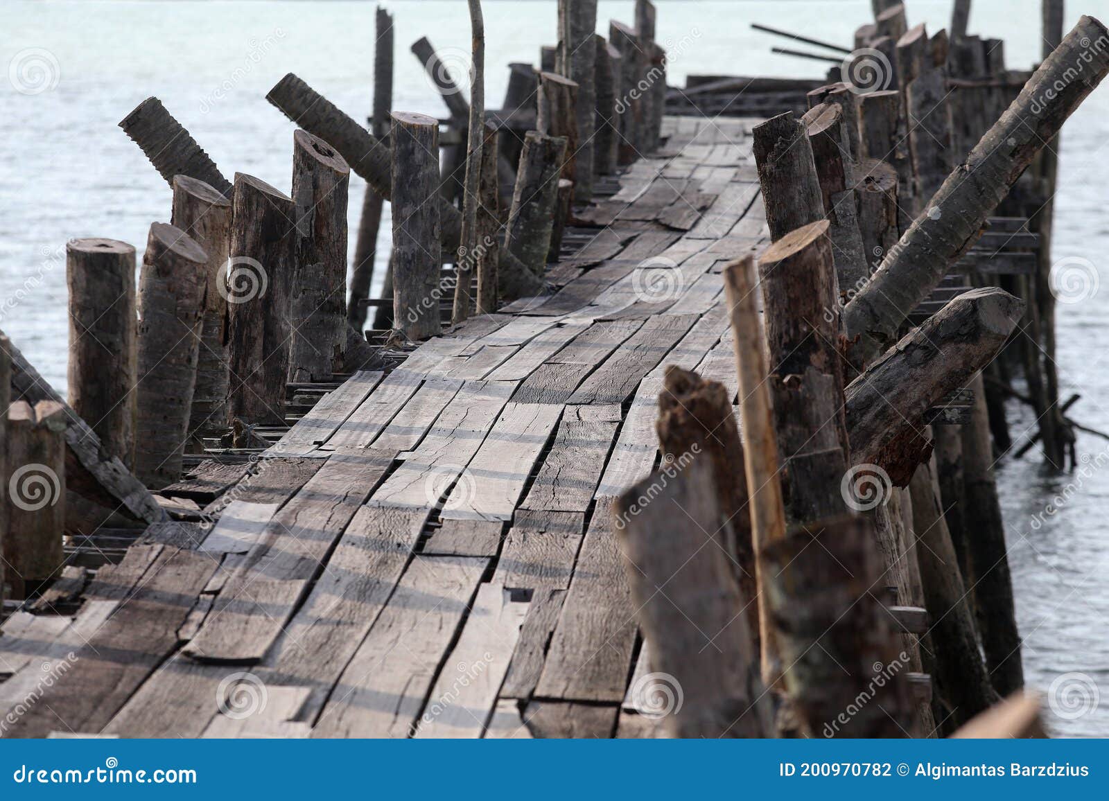 Old wood bridge to sea stock photo. Image of romantic - 200970782