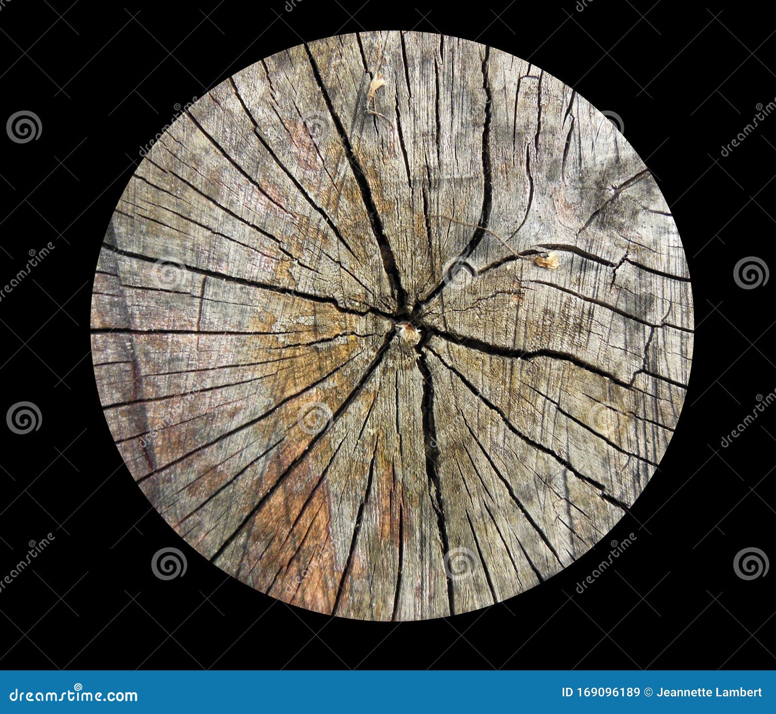 Old Wood Cross Section of a Log Stock Image - Image of detail, tree ...