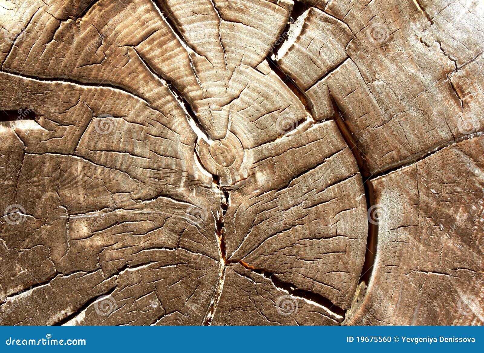 108,819 Wood Cut Texture Background Photos - Free & Royalty-Free Stock ...