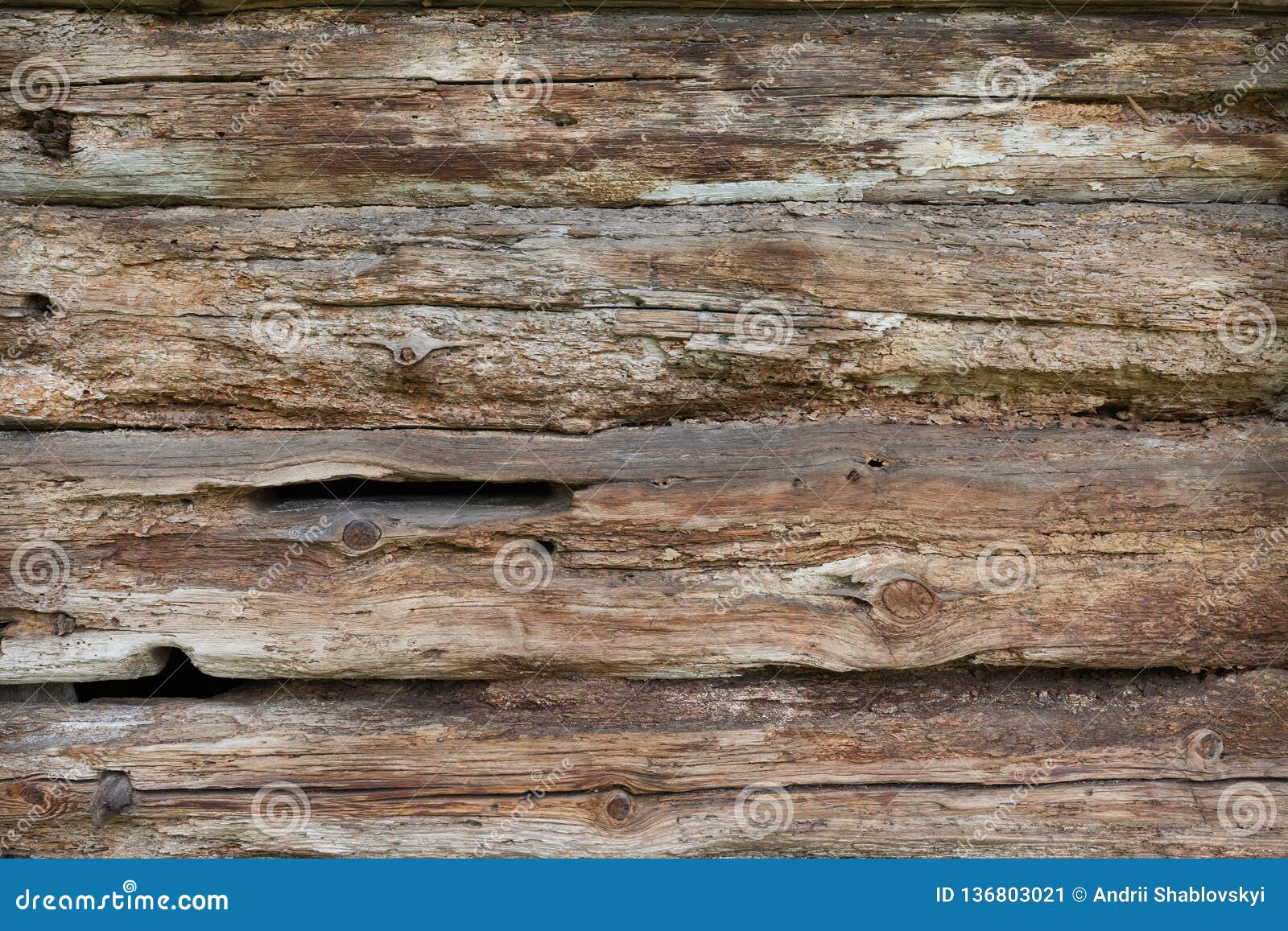 Old Wood Fence, Wood Texture Background. Structure of a Tree Stock ...
