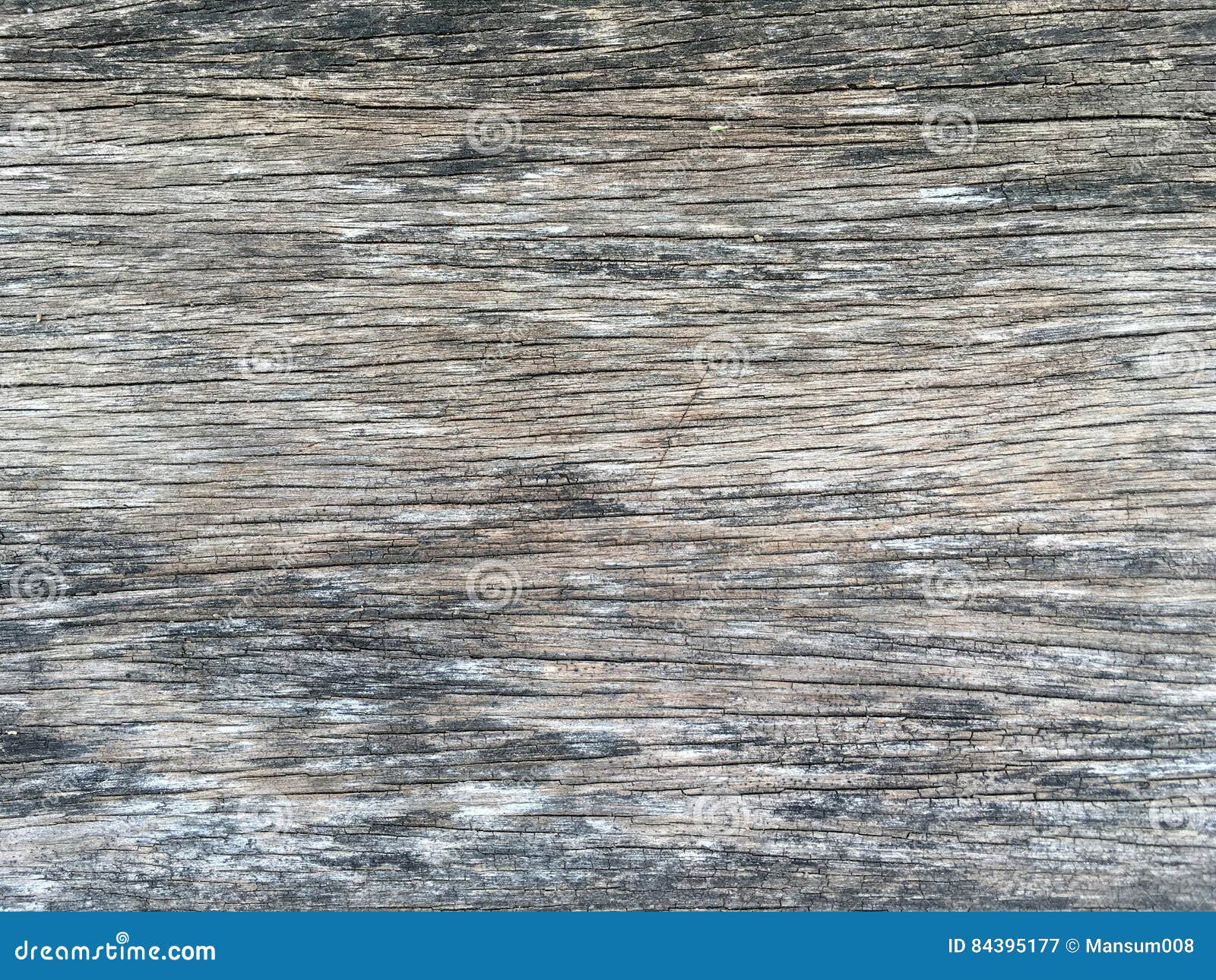Old wood floor texture stock image. Image of textured - 84395177