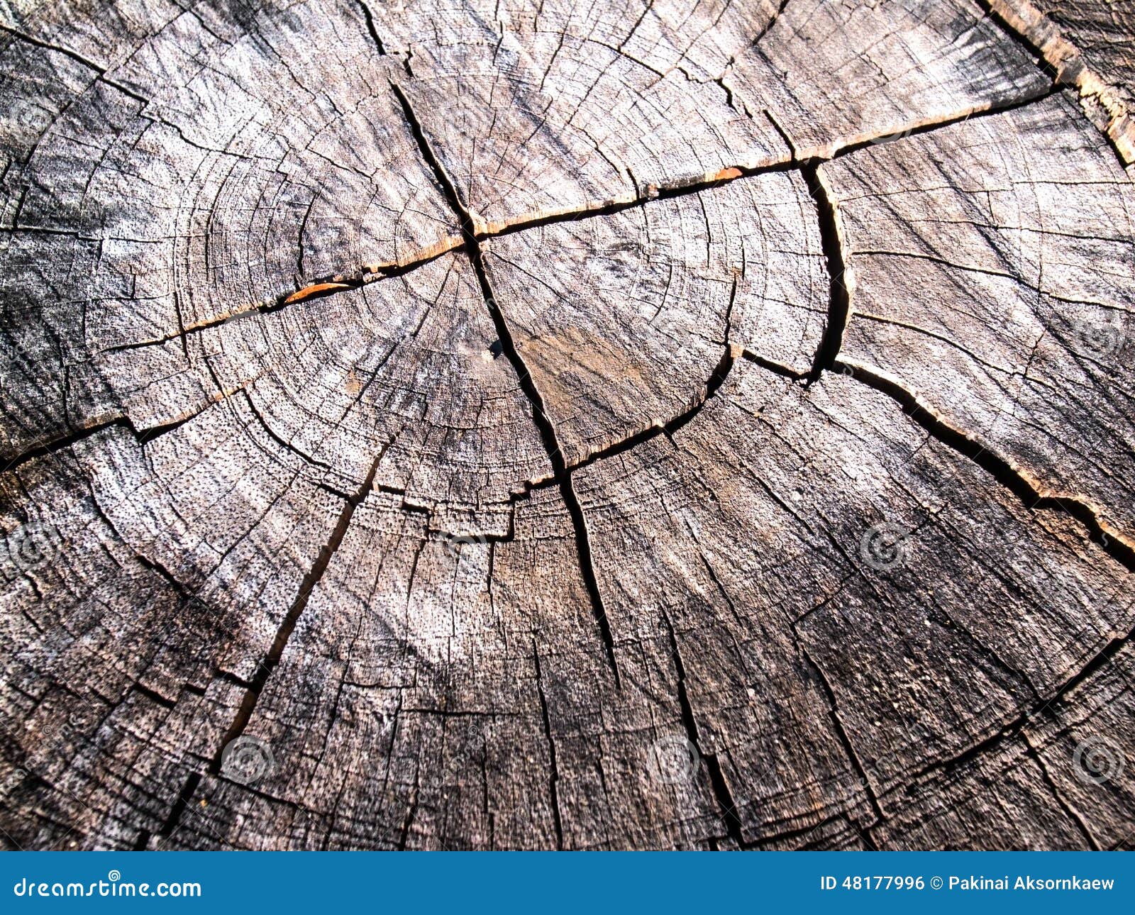 Old wood fragments stock photo. Image of morning, factory - 48177996