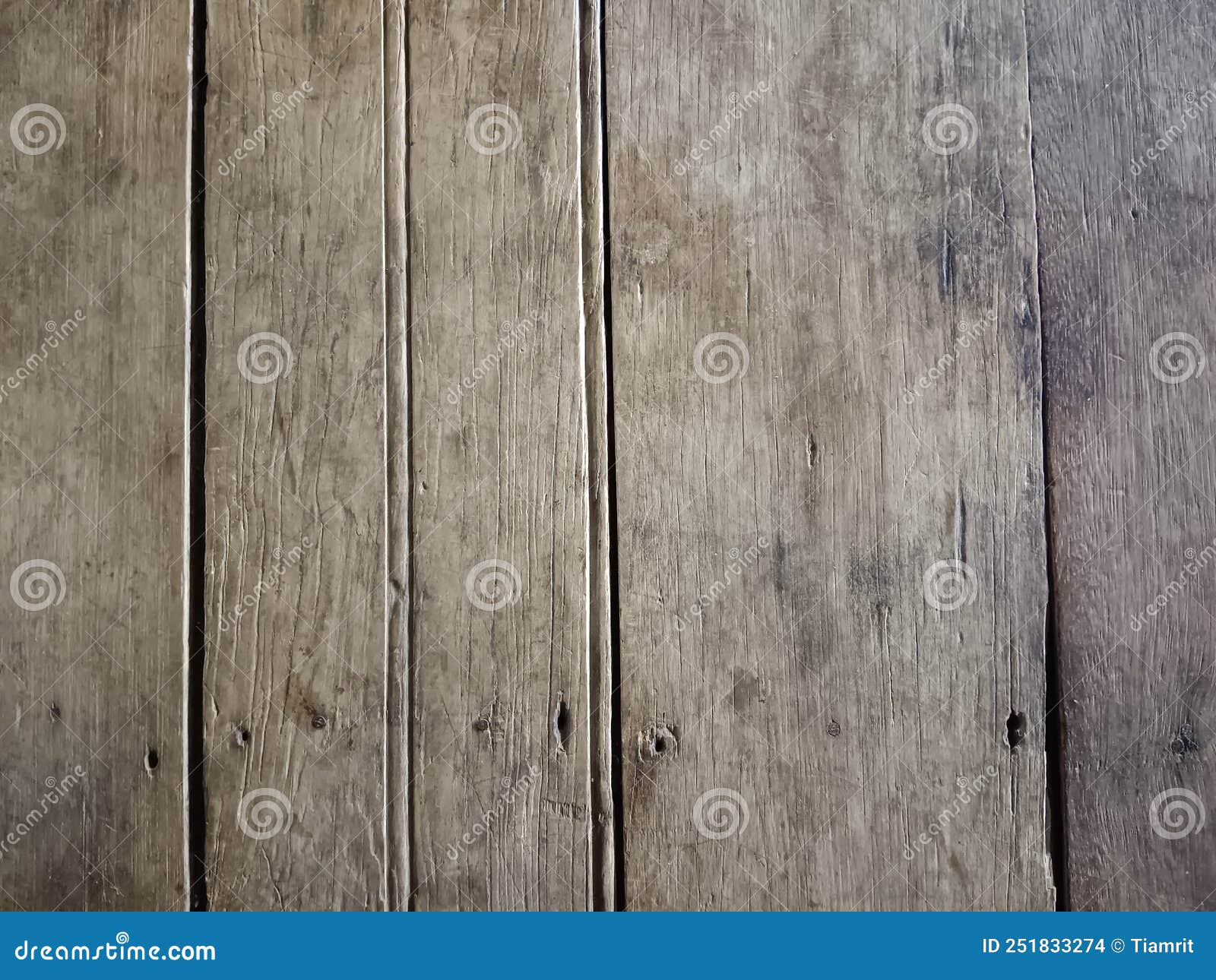 Old wood grain. stock photo. Image of plywood, tile - 251833274