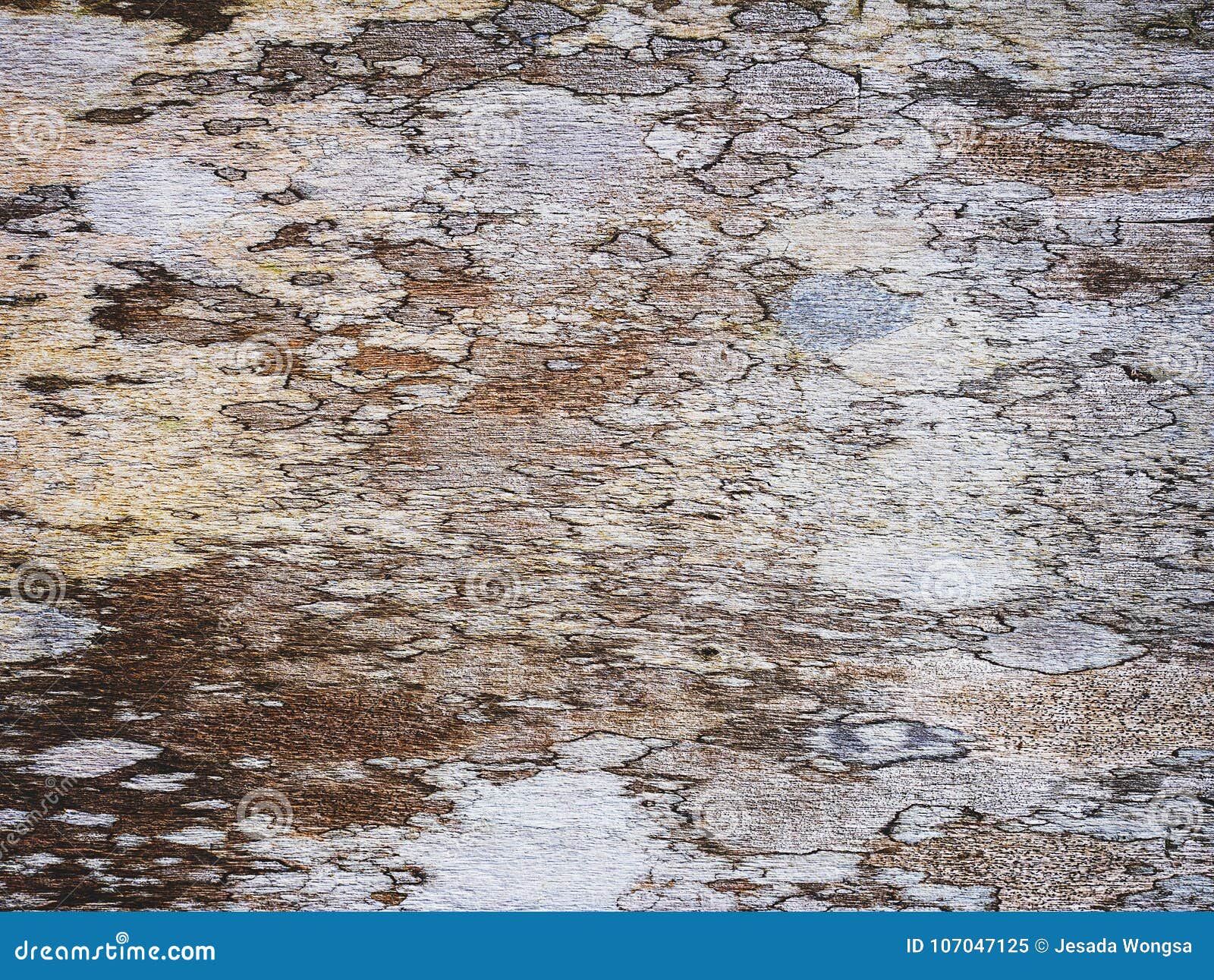 Old Wood Grain Texture Use Us Background or Vintage Overlay Design ...