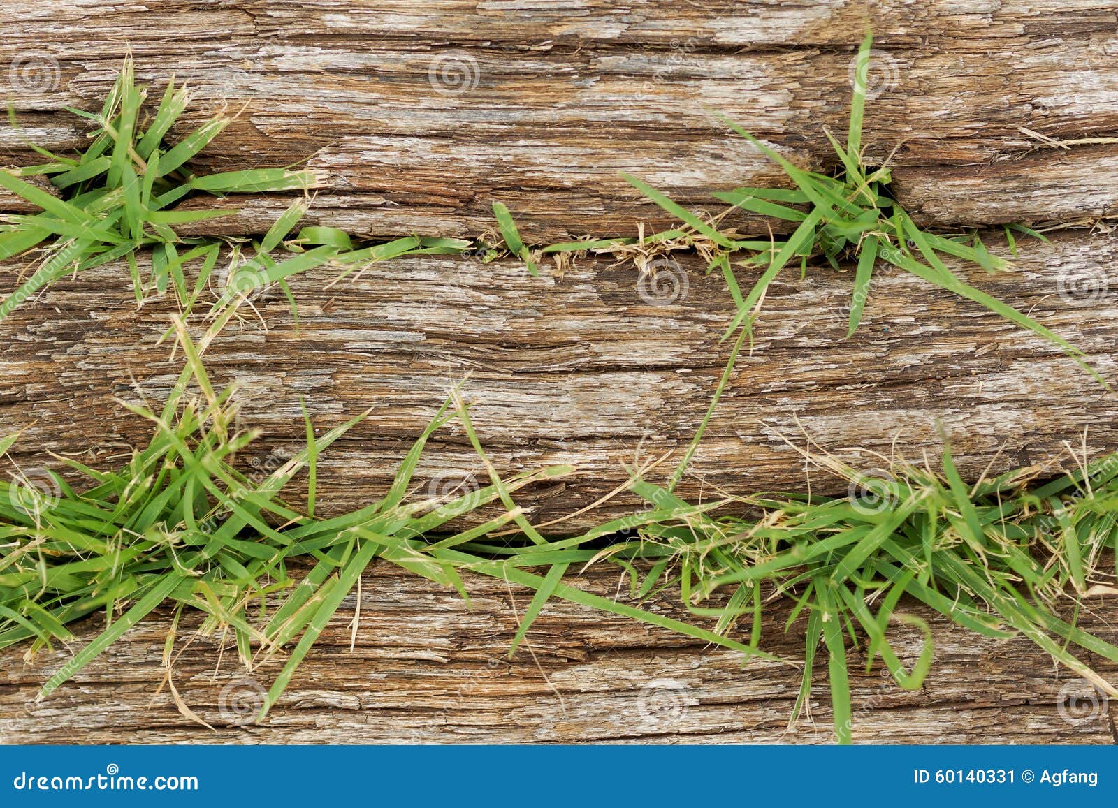Old wood with green grass stock image. Image of cass - 60140331
