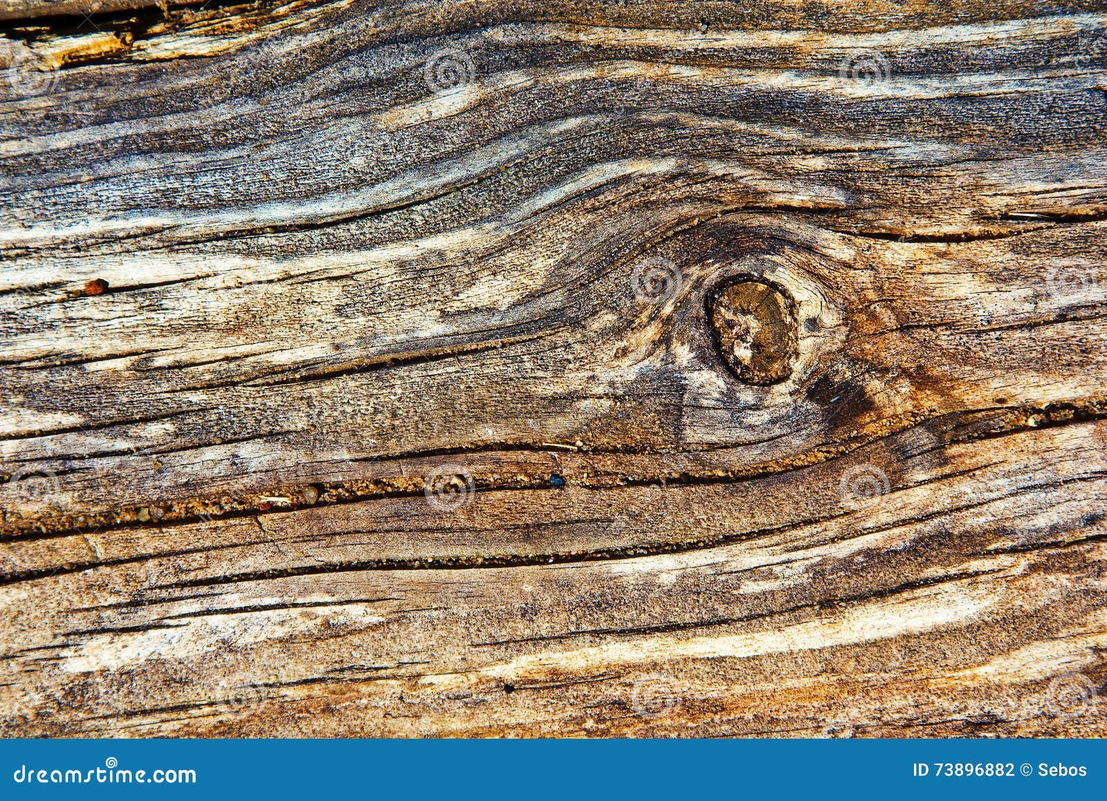 Old Wood Grunge Texture for Background Stock Photo - Image of tree ...