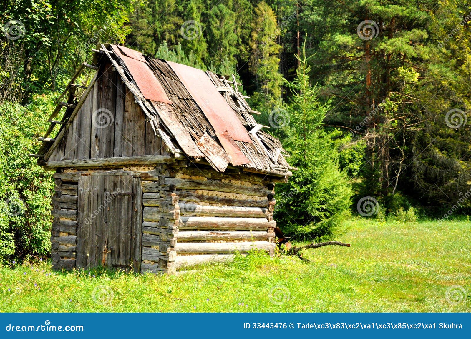 Old wood hut stock photo. Image of forest, nature, agriculture - 33443476