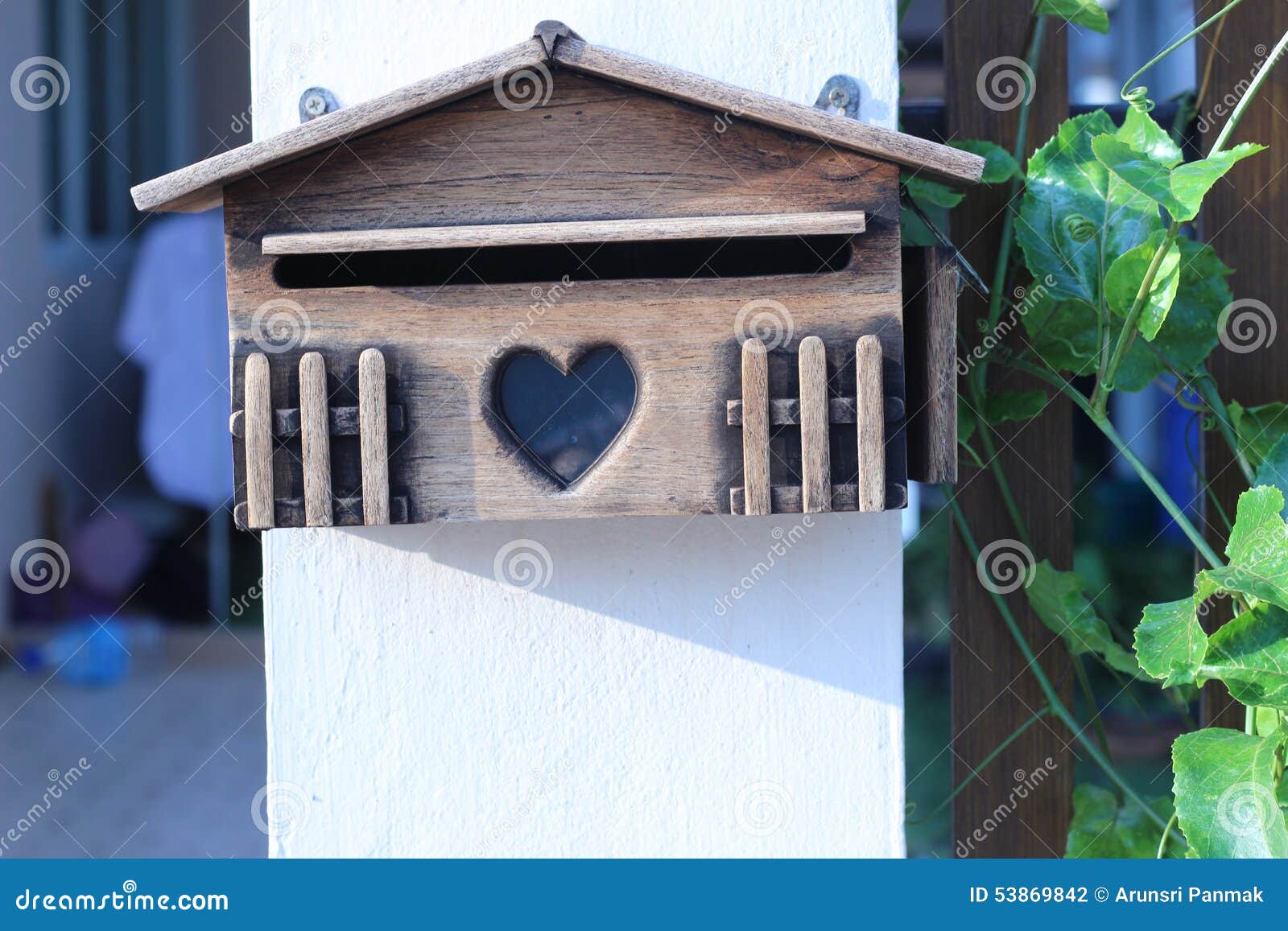 Old wood inbox stock photo. Image of brown, green, beautiful - 53869842