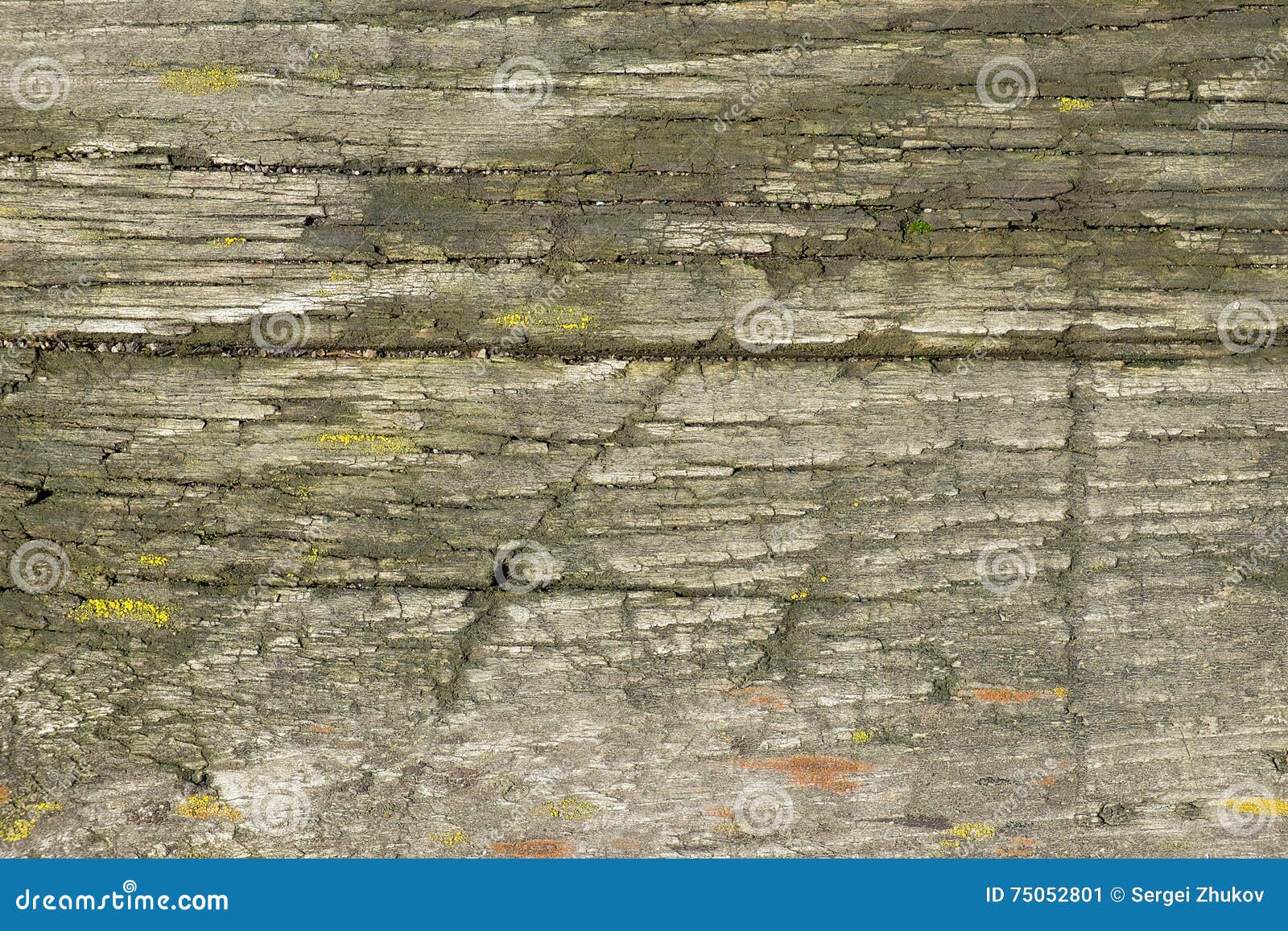 Old Wood Log Background Stock Image | CartoonDealer.com #75052801