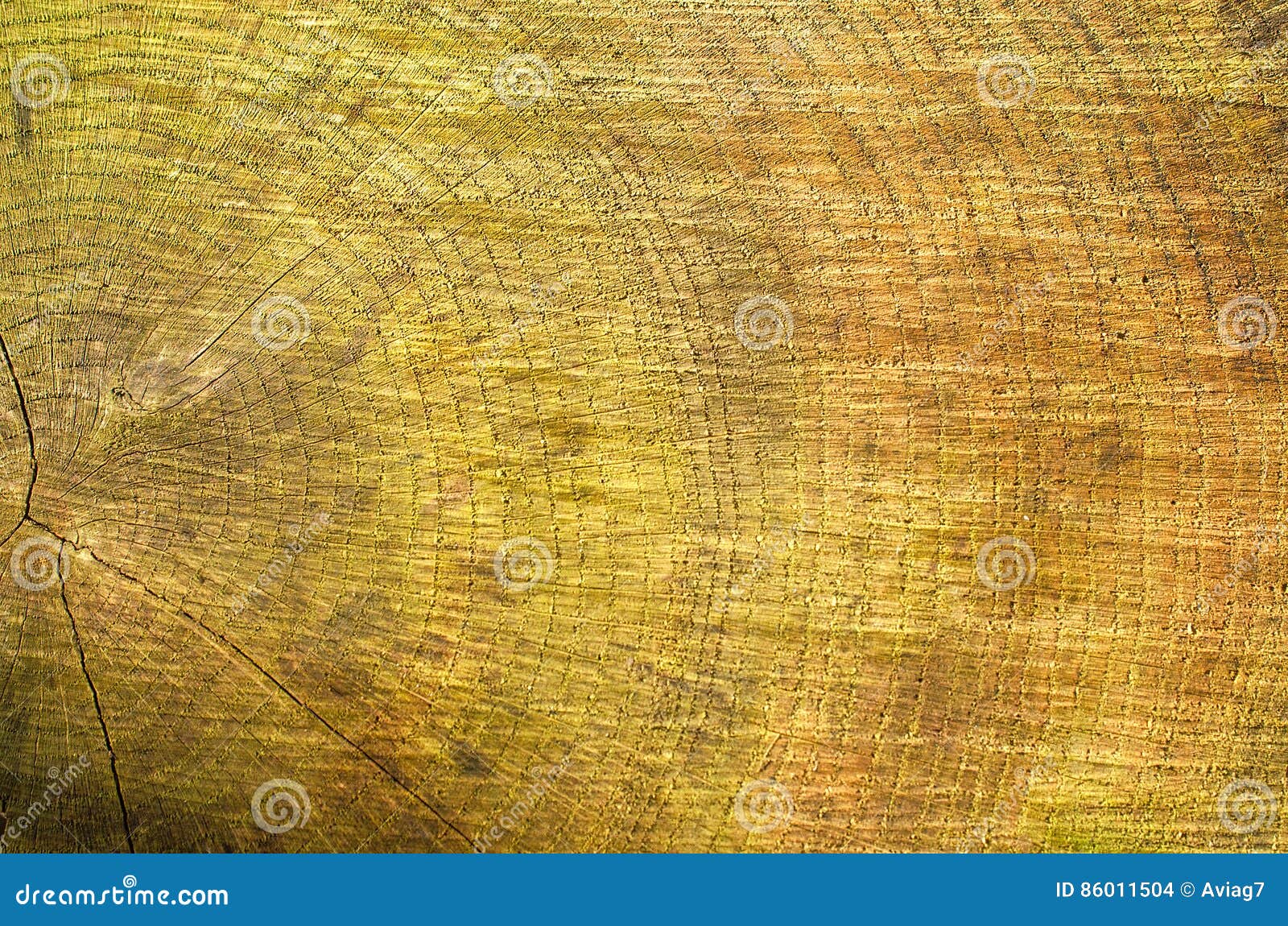 Old wood log texture stock photo. Image of background - 86011504