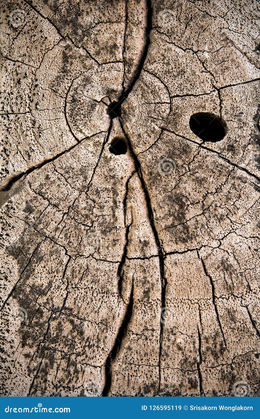 Old Wood and Wood Patterns, Tree Stock Image - Image of pattern, lumber ...