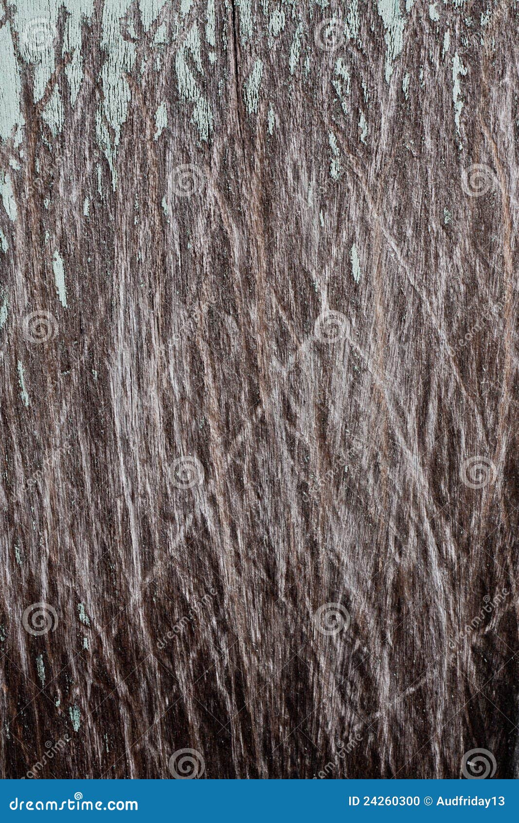 OLD WOOD scratch stock photo. Image of damaged, background - 24260300