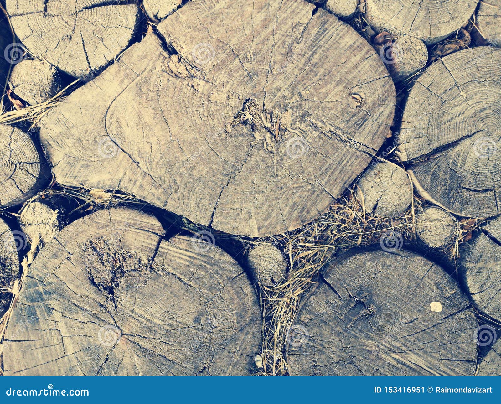 Wood stump texture stock image. Image of wood, flooring - 153416951