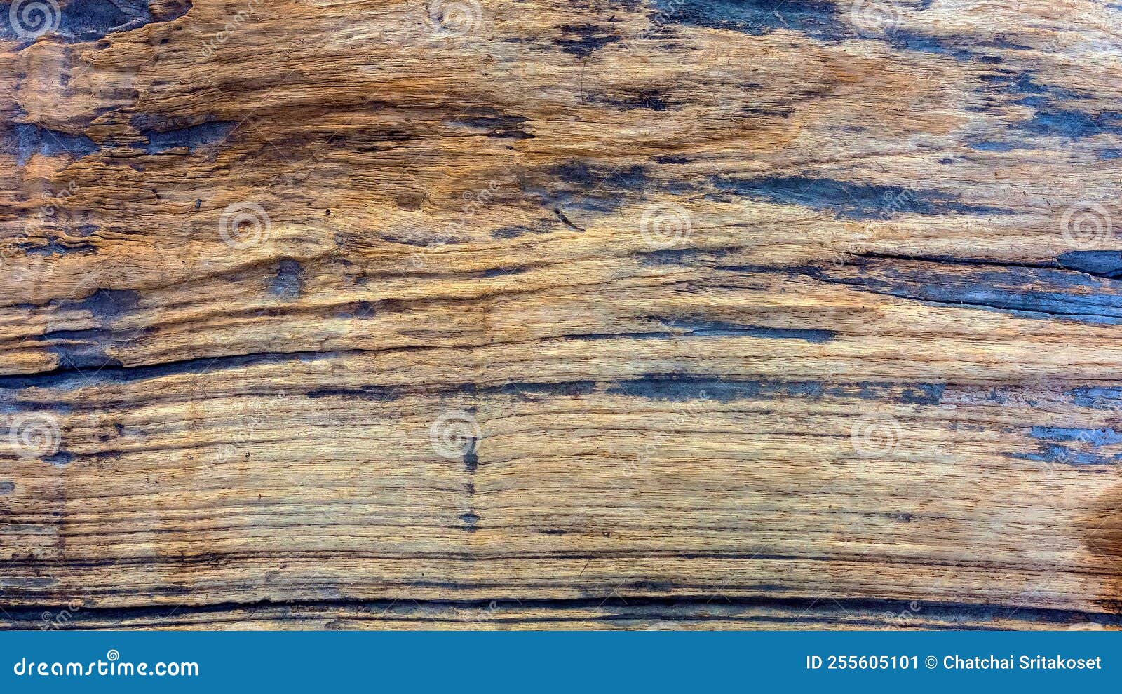 Old Wood Surface for Background or Texture Stock Image - Image of panel ...