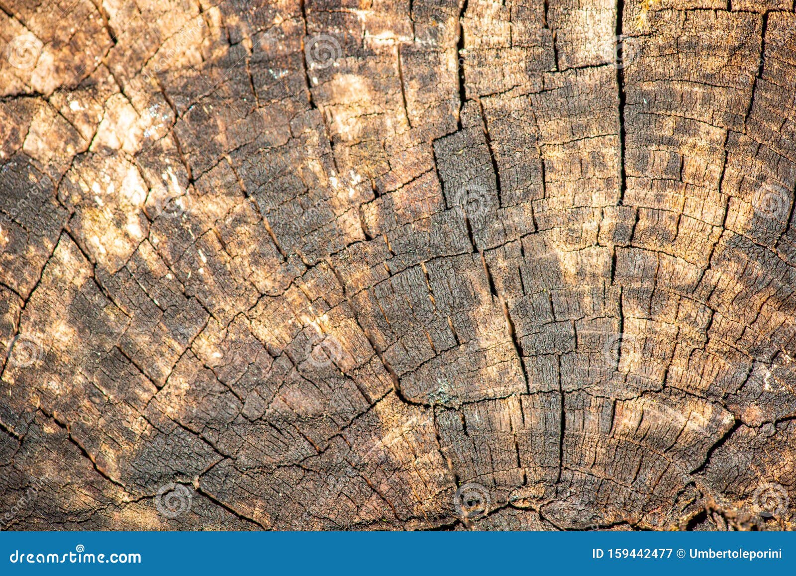 Old Wood Surface Textures and Backgrounds Stock Image - Image of circle ...