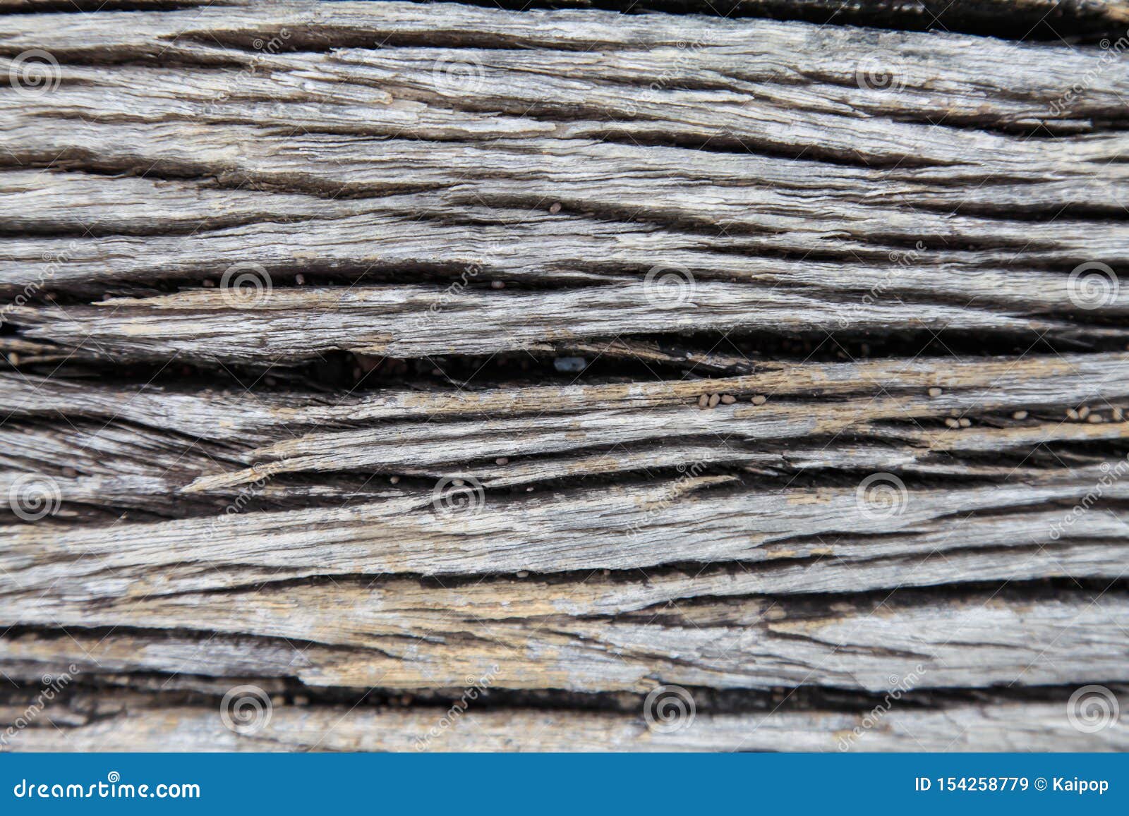 Old Wood Surface Weathering Stock Image - Image of wall, lumber: 154258779