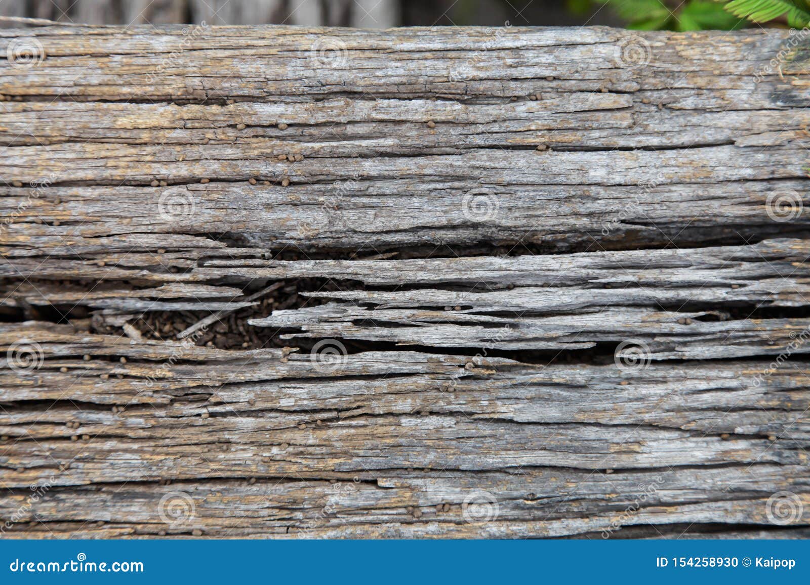 Old Wood Surface Weathering Stock Photo - Image of panel, building ...