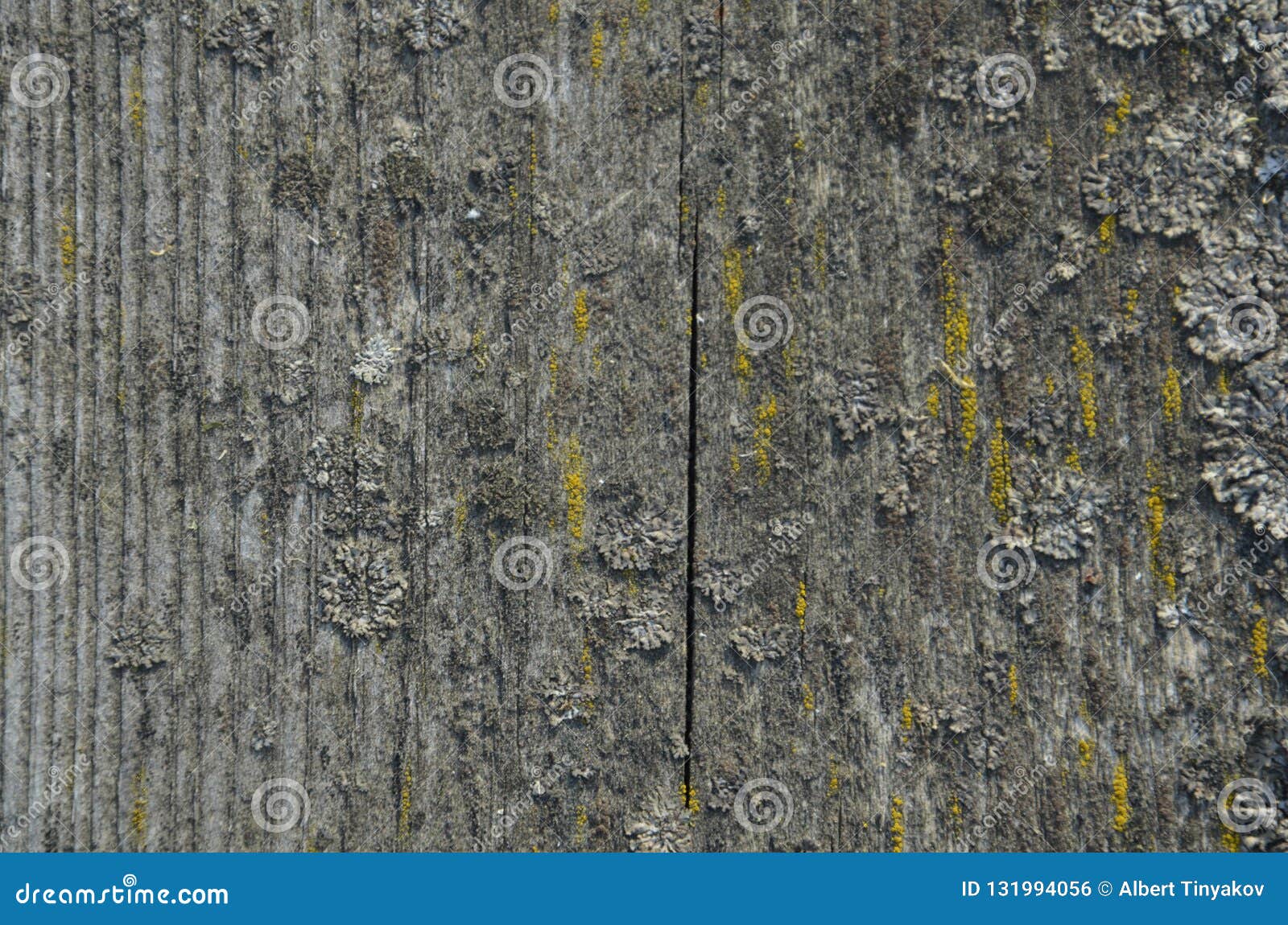 Old Wooden Table, Abstract Wood, Top View of the Table Surface. Stock ...