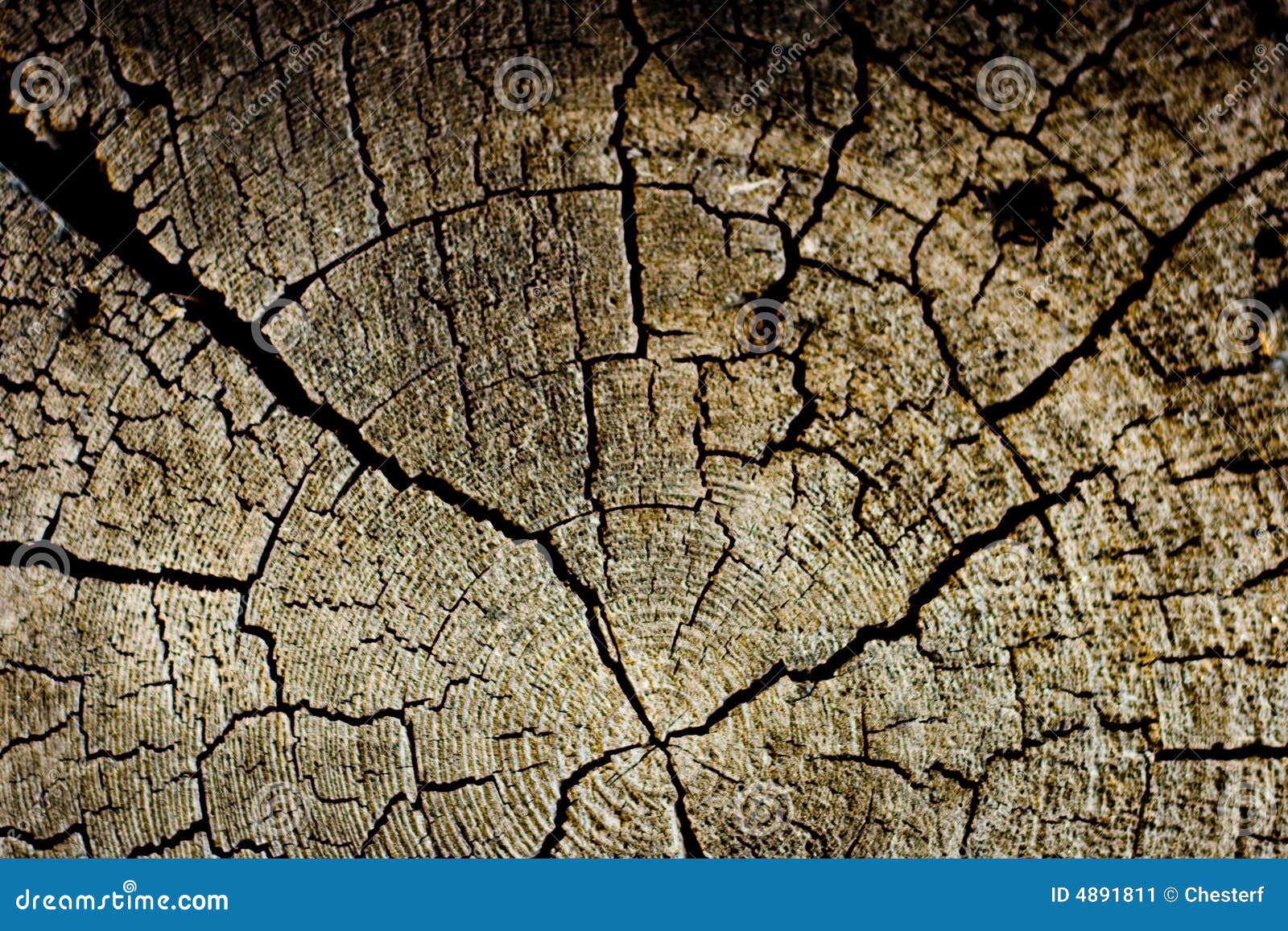 577 Chaff Texture Stock Photos - Free & Royalty-Free Stock Photos from ...