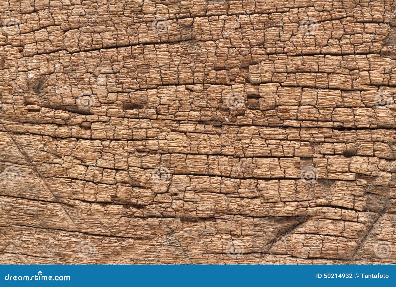 Old Wood Texture Abstract Background Stock Photo - Image of texture ...