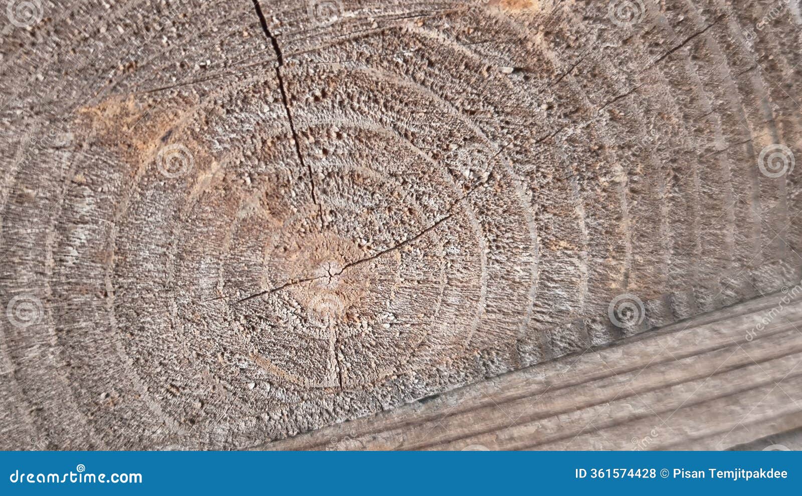 Old Wood Texture for Background. Stock Photo - Image of yellow ...