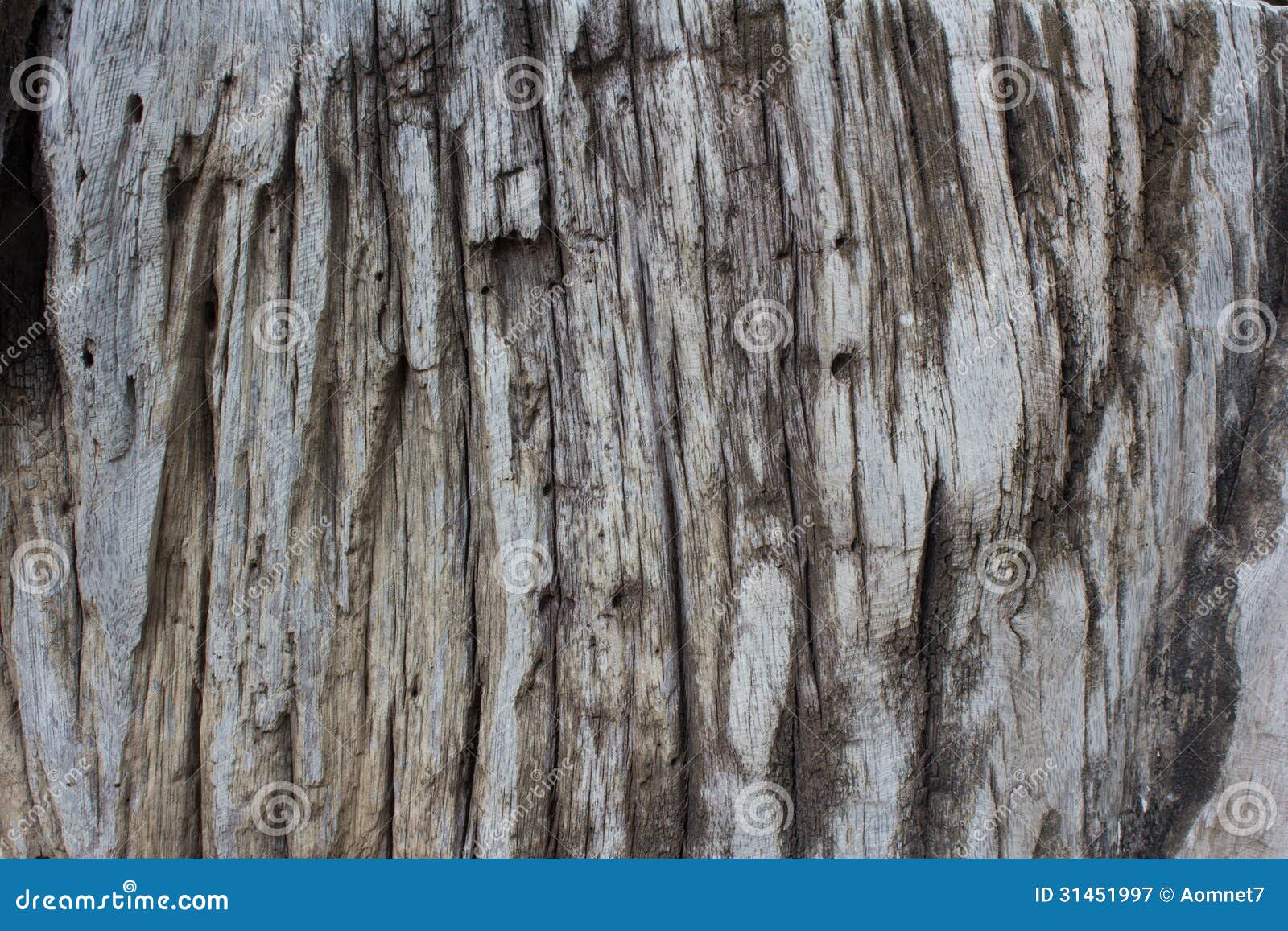 Old wood texture stock image. Image of decor, detail - 31451997
