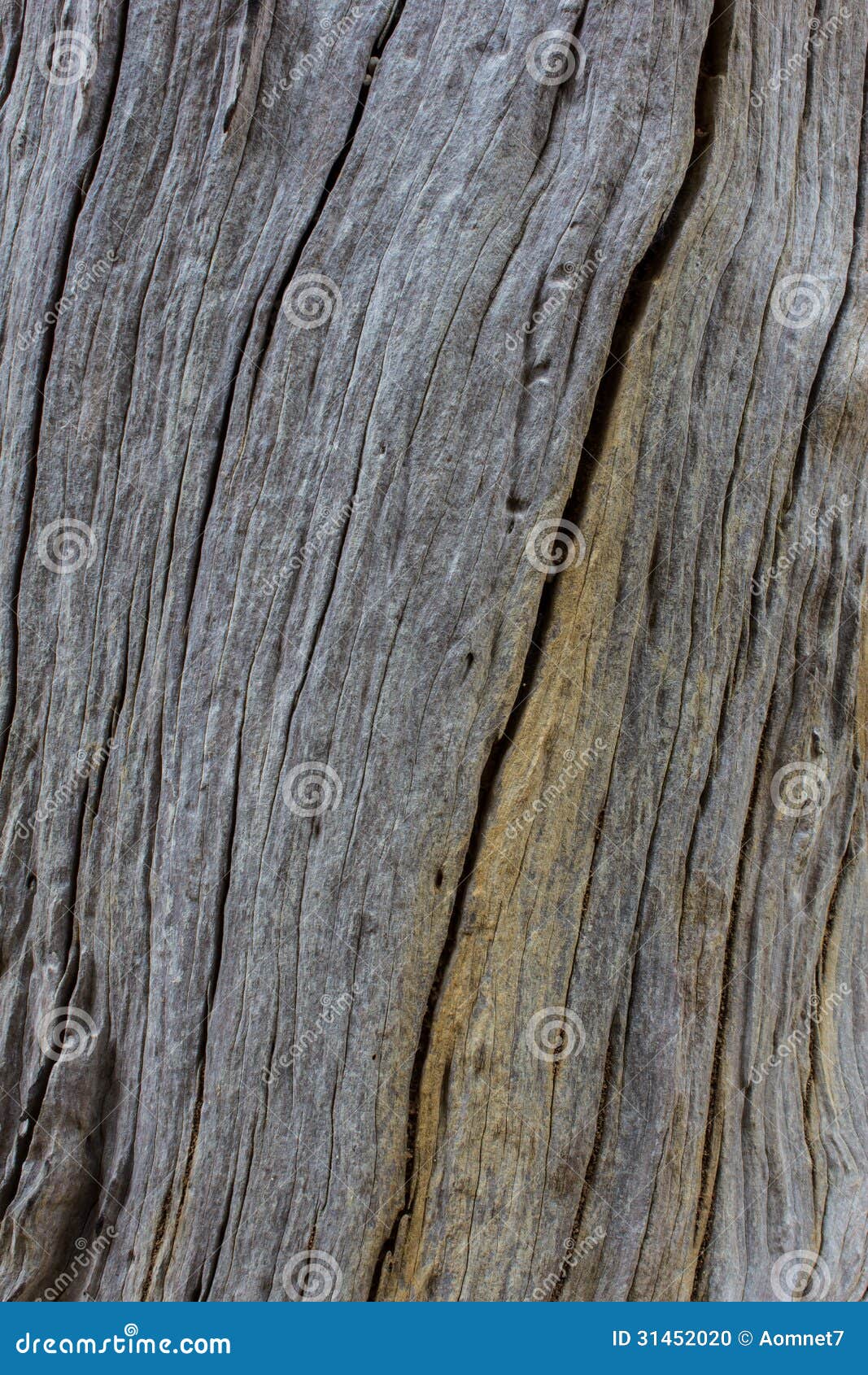 Old wood texture stock photo. Image of decorative, texture - 31452020
