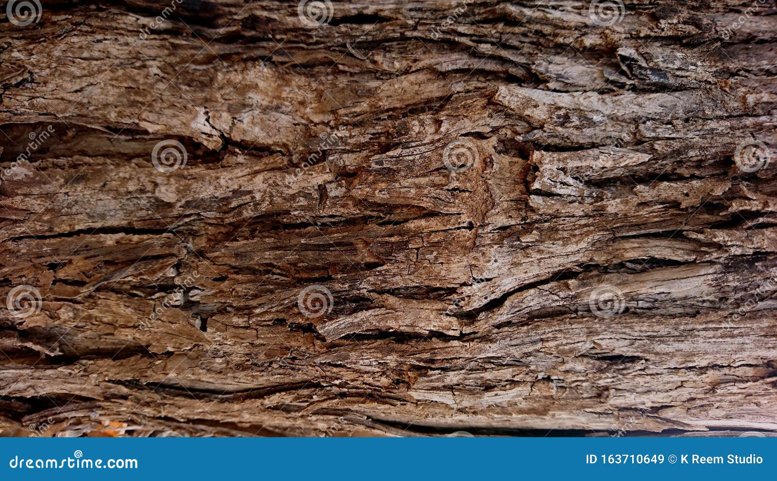 Broken Wood Texture