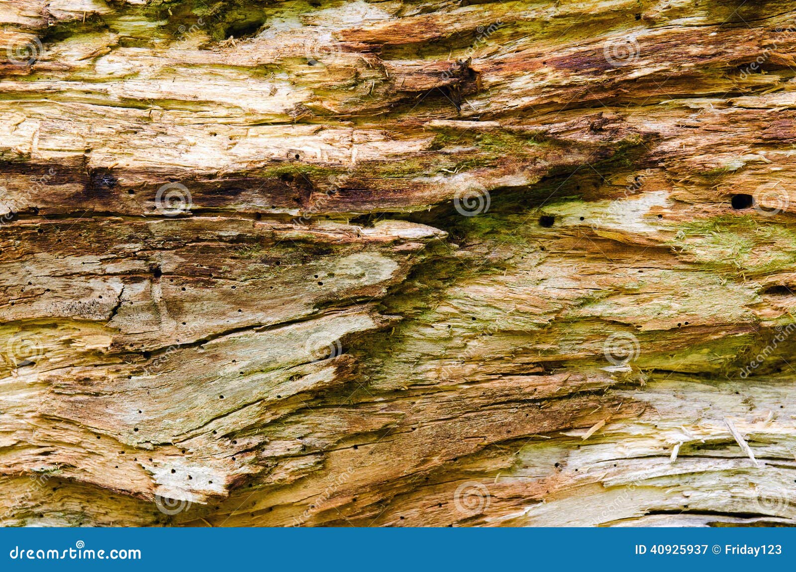 Old wood texture stock image. Image of color, textured - 40925937