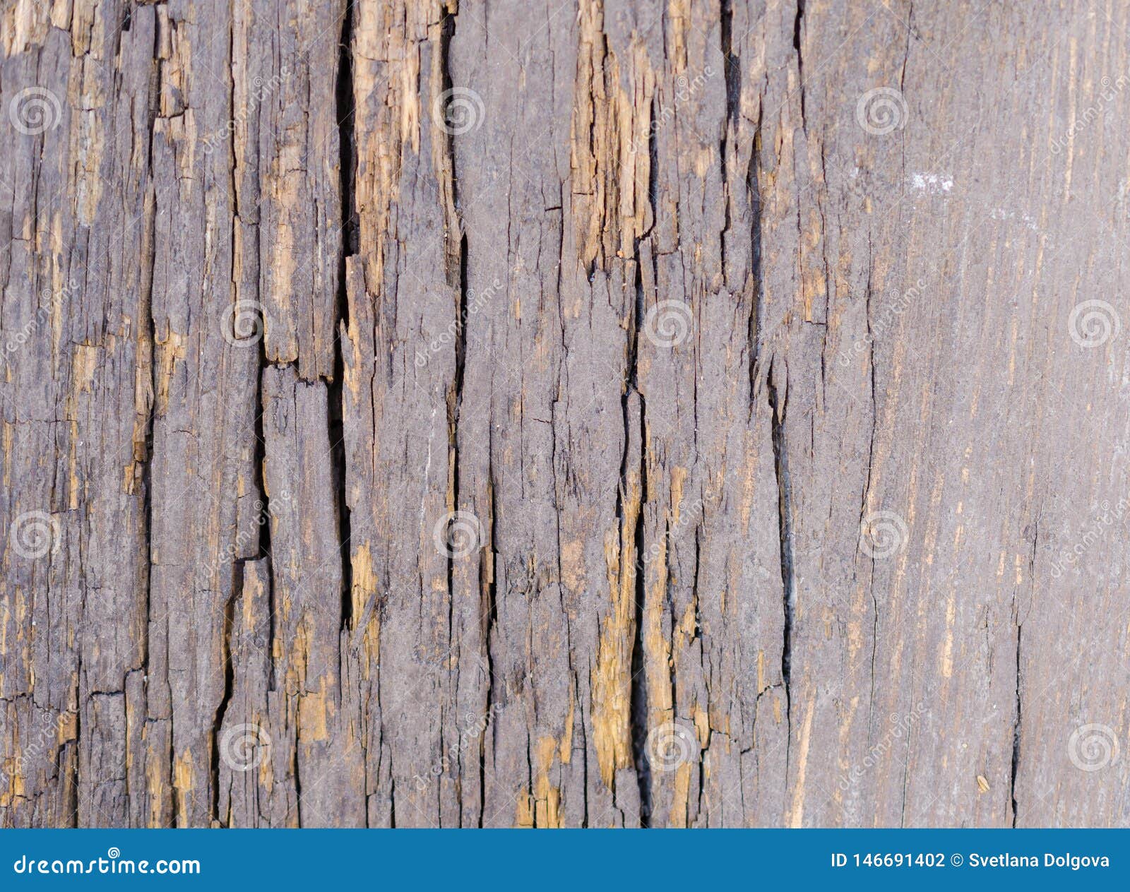 Old Grey Wood with Cracks Texture Stock Photo - Image of hardwood ...