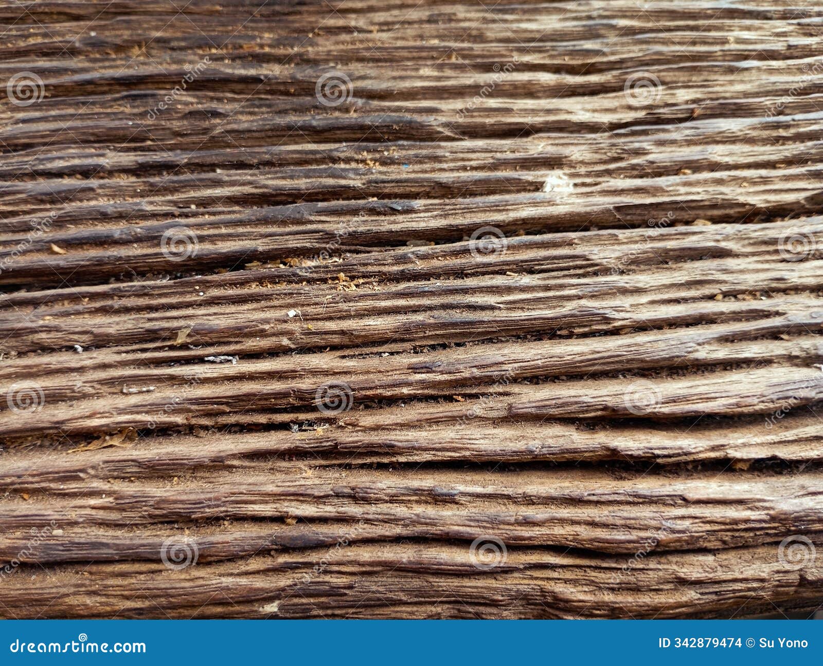 The Old Wood Texture Forms a Beautiful Motif Stock Photo - Image of ...