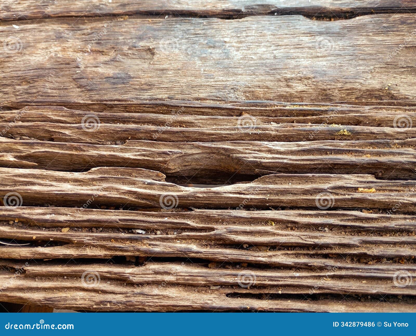The Old Wood Texture Forms a Beautiful Motif Stock Photo - Image of ...