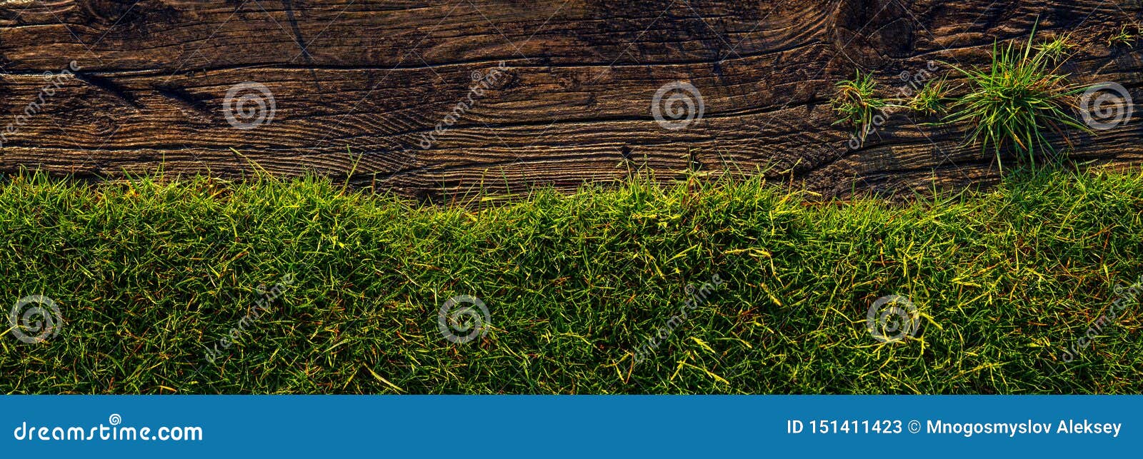 Old Wood and Green Grass Background Stock Image - Image of design ...