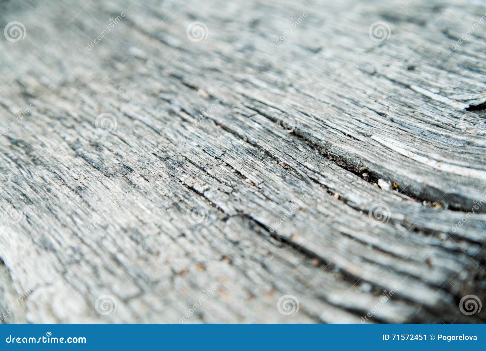 Old Wood Texture. Grey Background Stock Image - Image of creativity ...