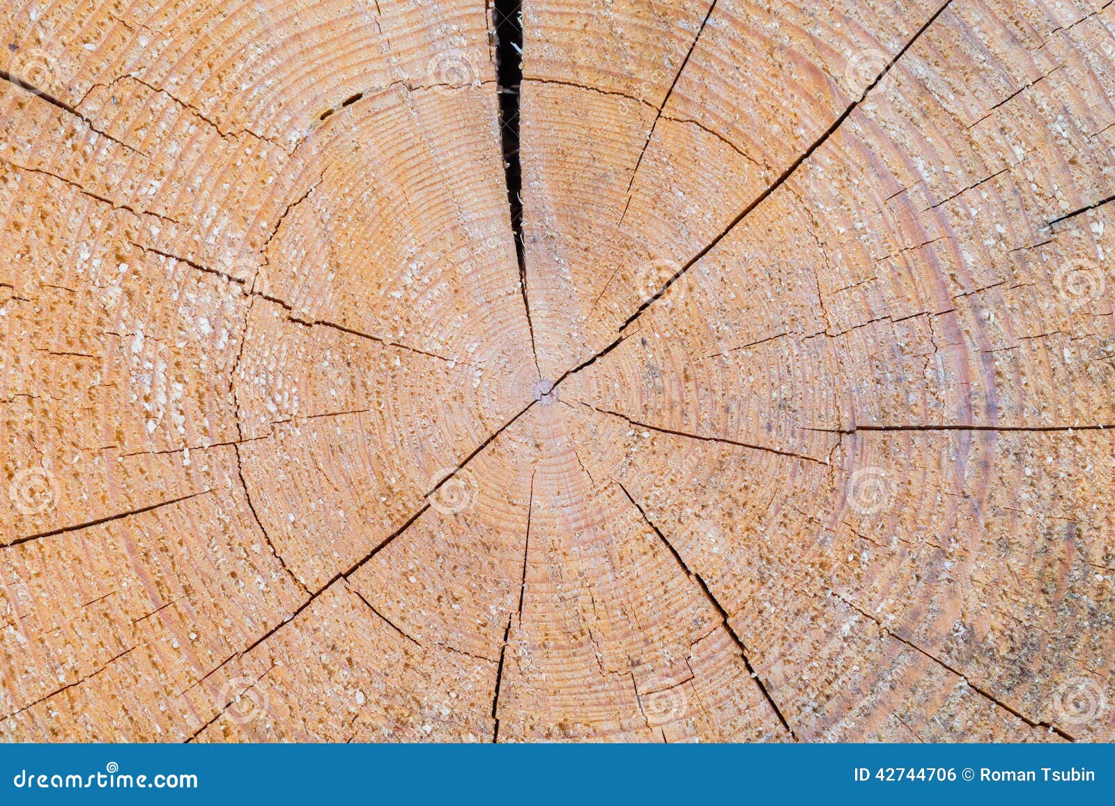 Old wood texture stock photo. Image of isolated, brown - 42744706