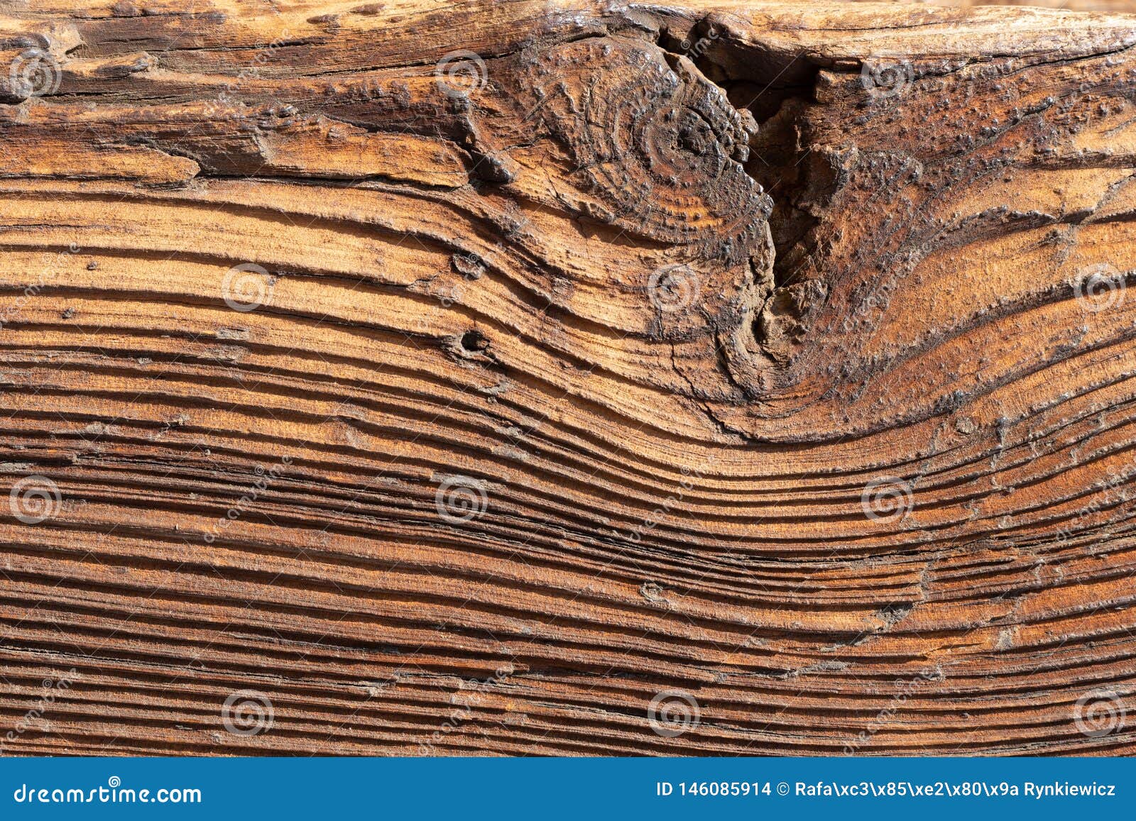 The Old Wood Texture with Natural Patterns Stock Photo - Image of ...