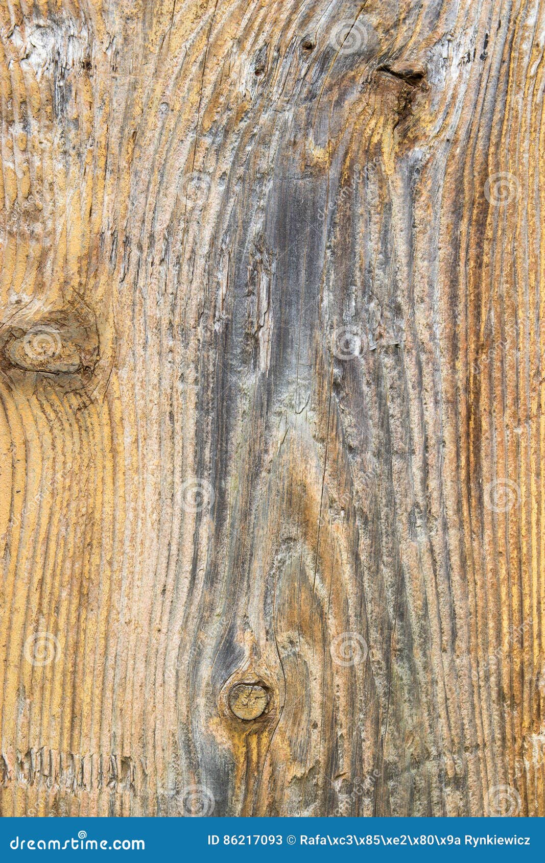 The Old Wood Texture with Natural Patterns Stock Image - Image of ...