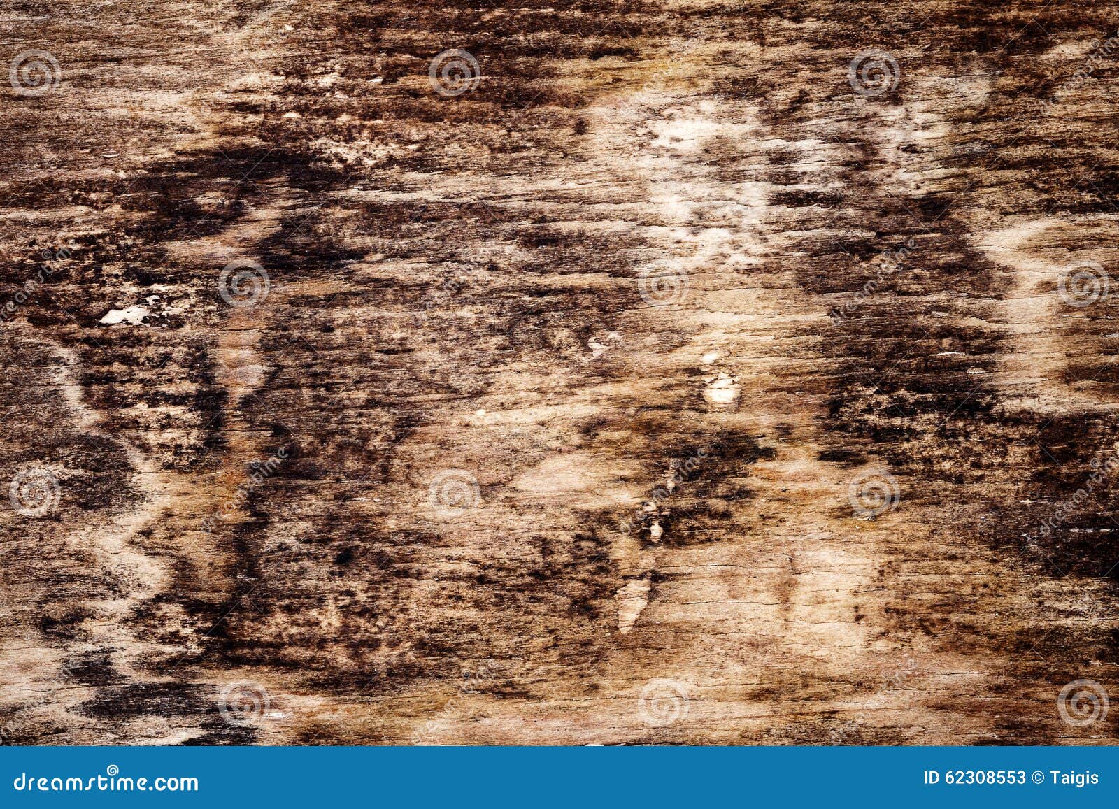 Old wood texture stock image. Image of abstract, detail - 62308553
