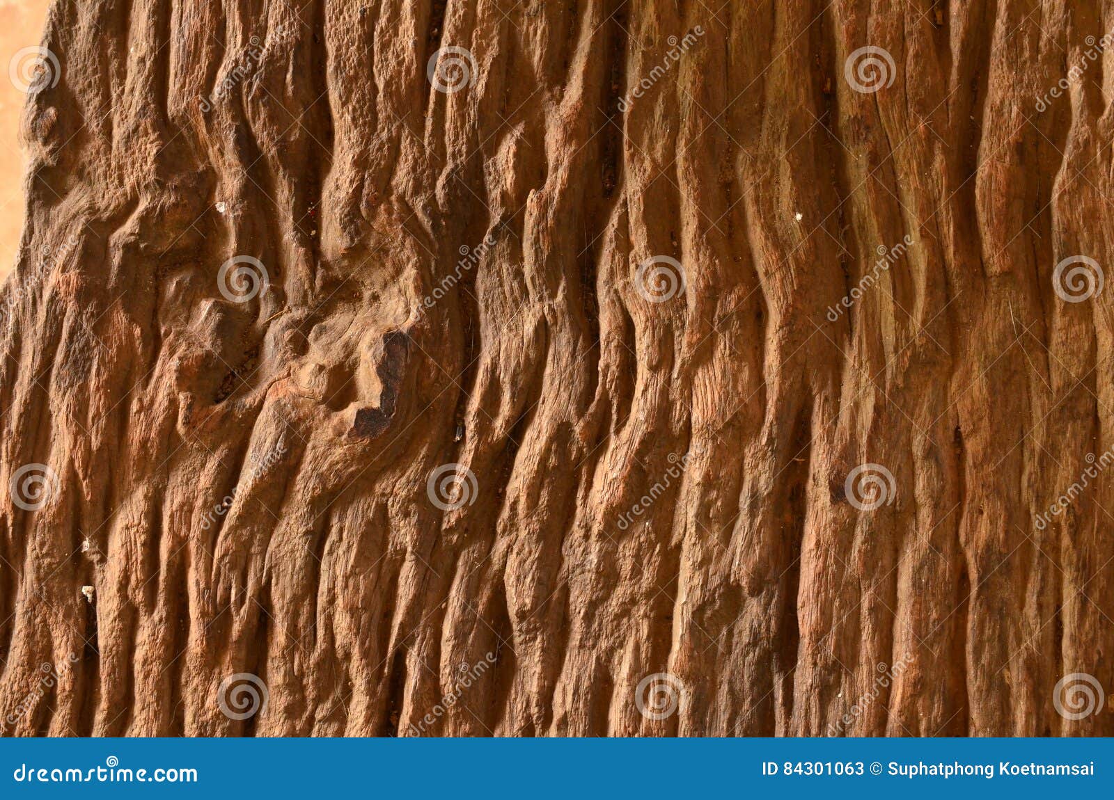 Old wood texture. stock image. Image of backgrounds, grained - 84301063