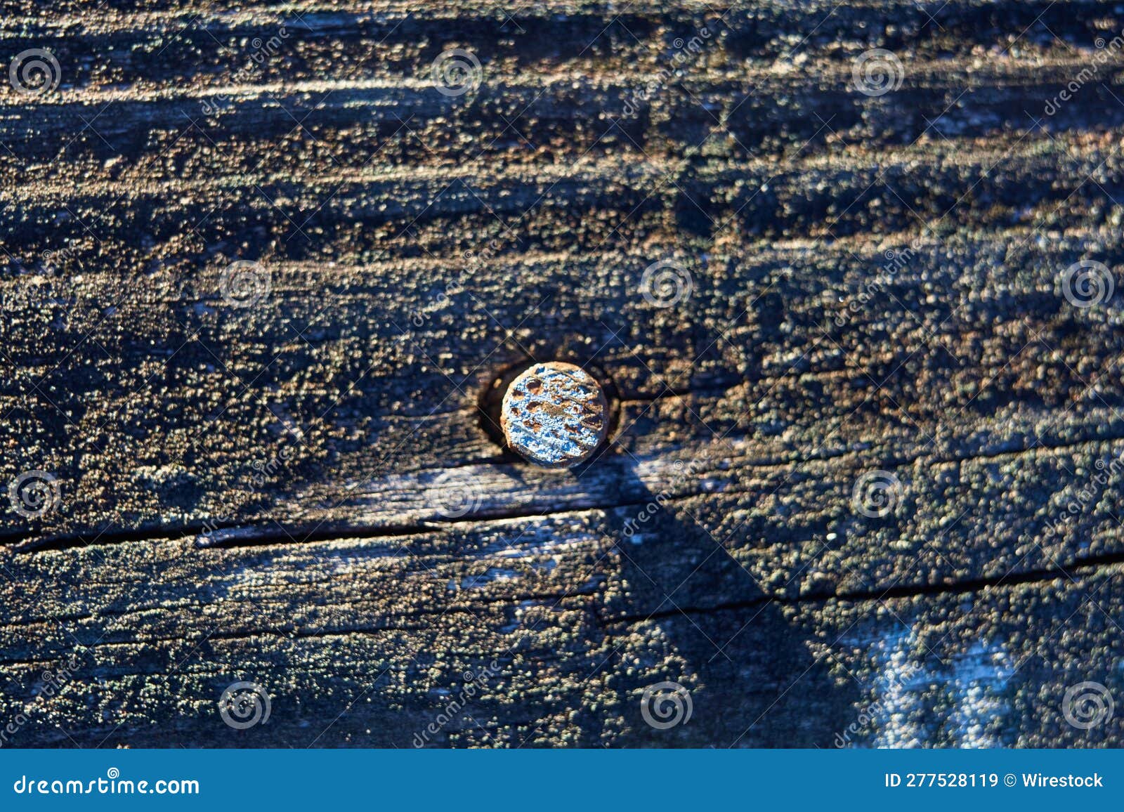 Old Wood Texture with a Spike on it Stock Image - Image of tree, brown ...
