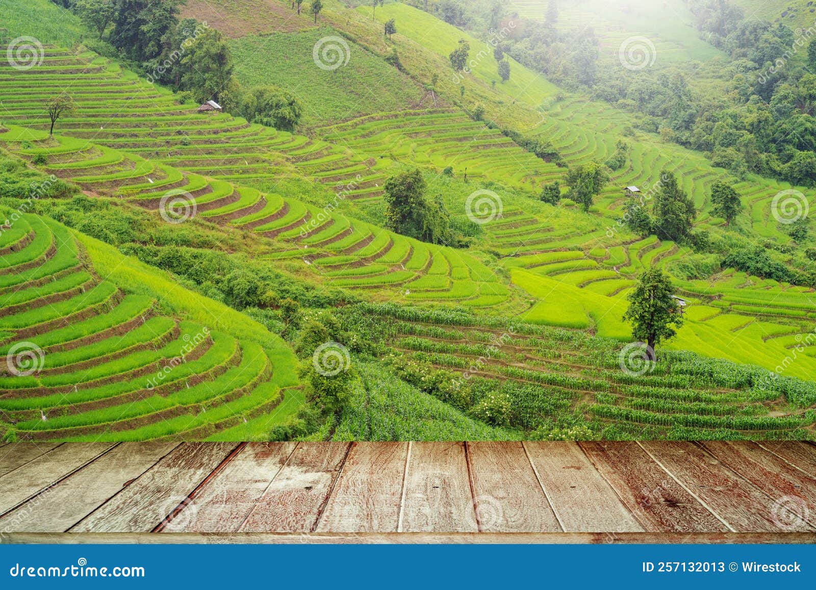 Old Wood Texture at the Wall with Rice Fields Stock Image - Image of ...