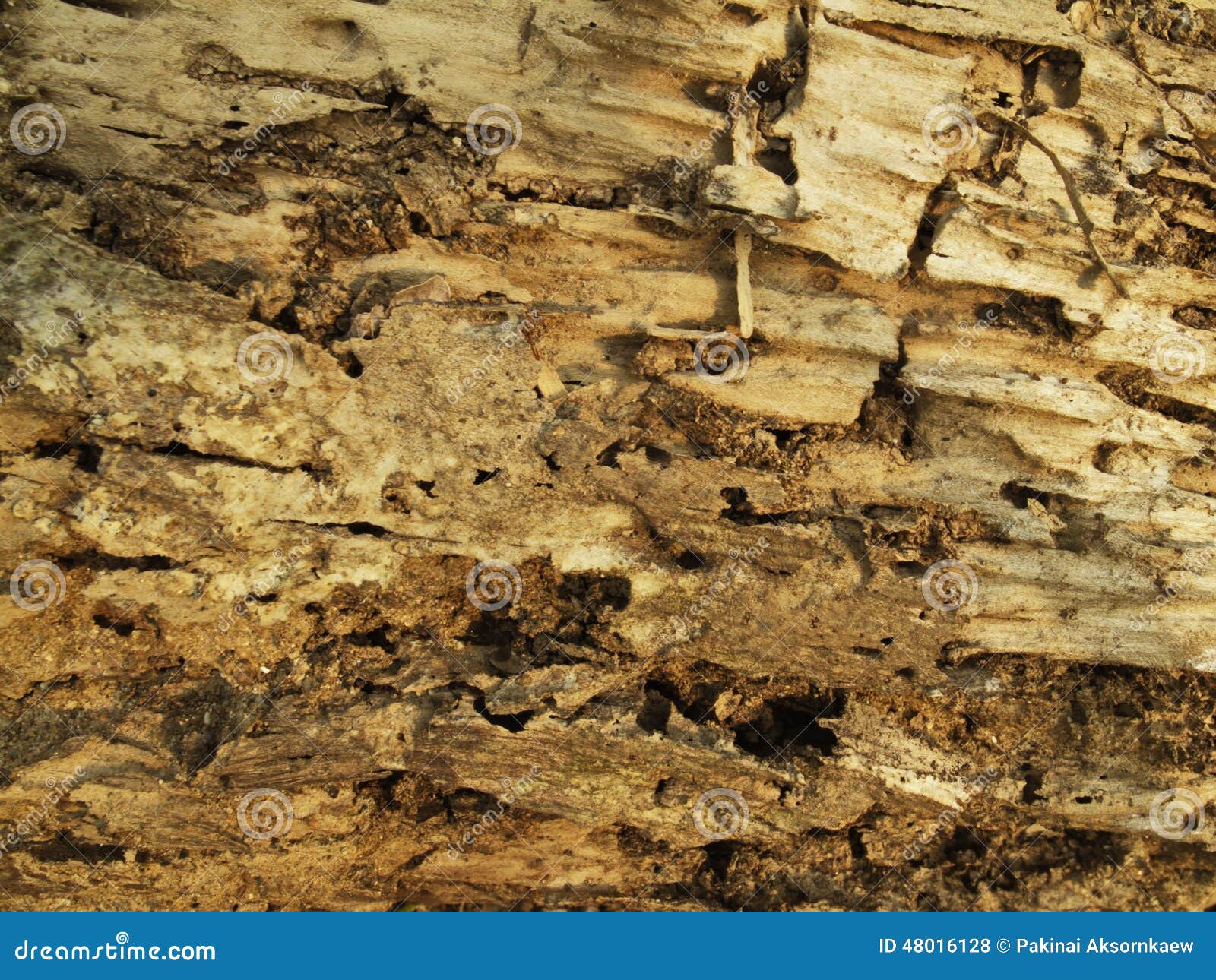 Old Wood Texture that is Weathered Stock Photo - Image of atmosphere ...