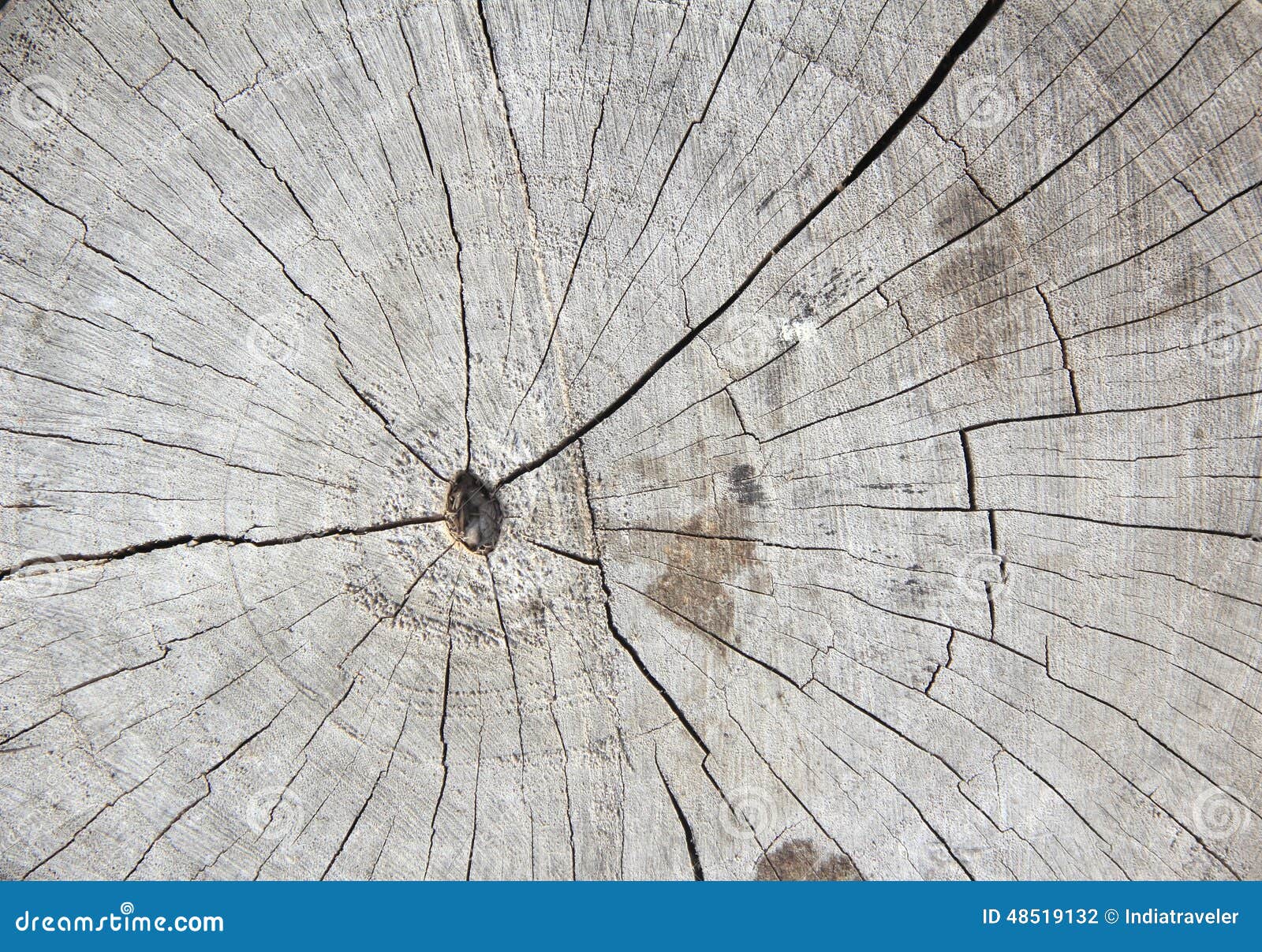 Old Wood Tree Rings Texture. Stock Photo - Image of annual, aging: 48519132