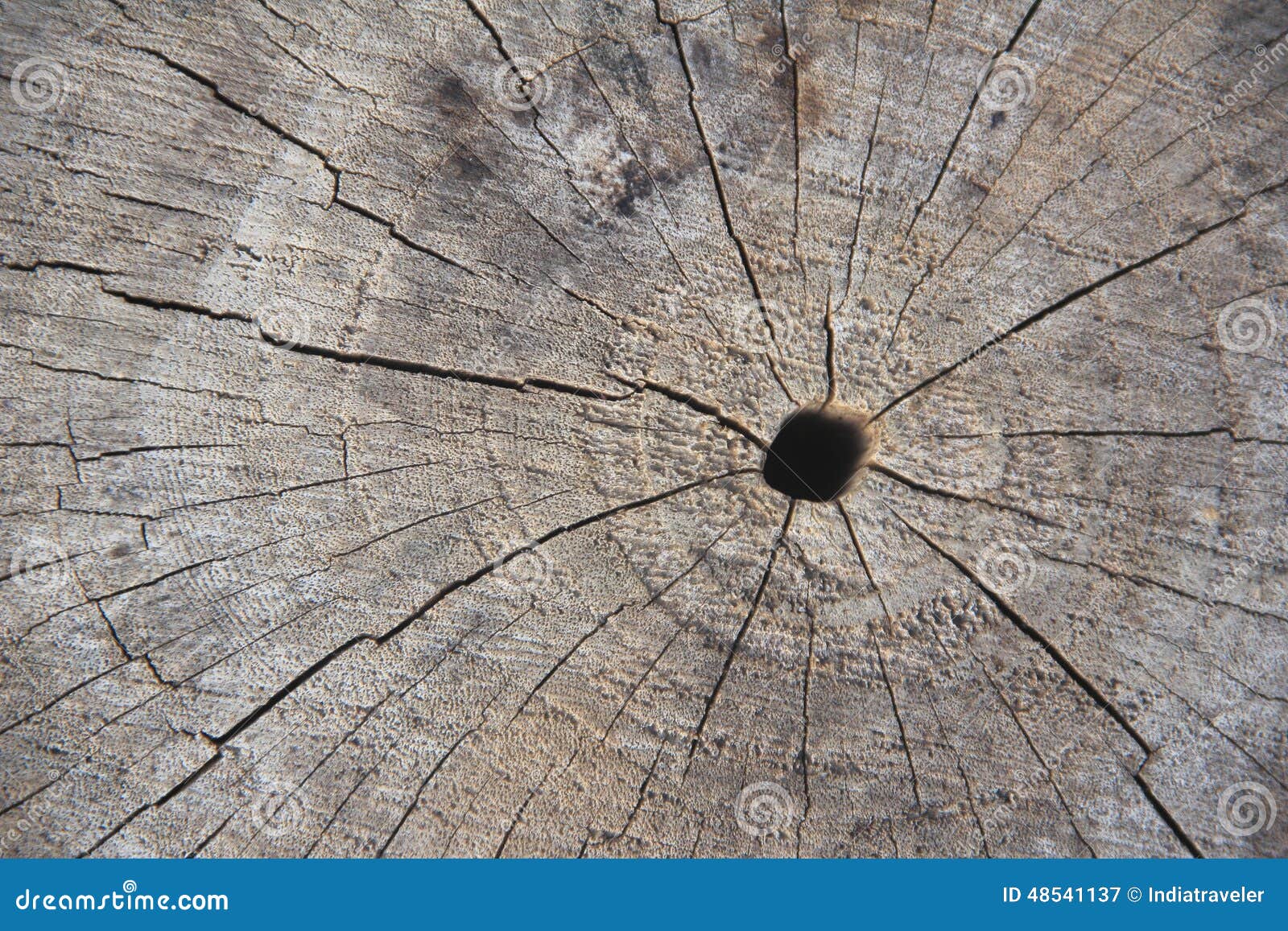 Old Wood Tree Rings Texture-1. Stock Image - Image of natural, rings ...