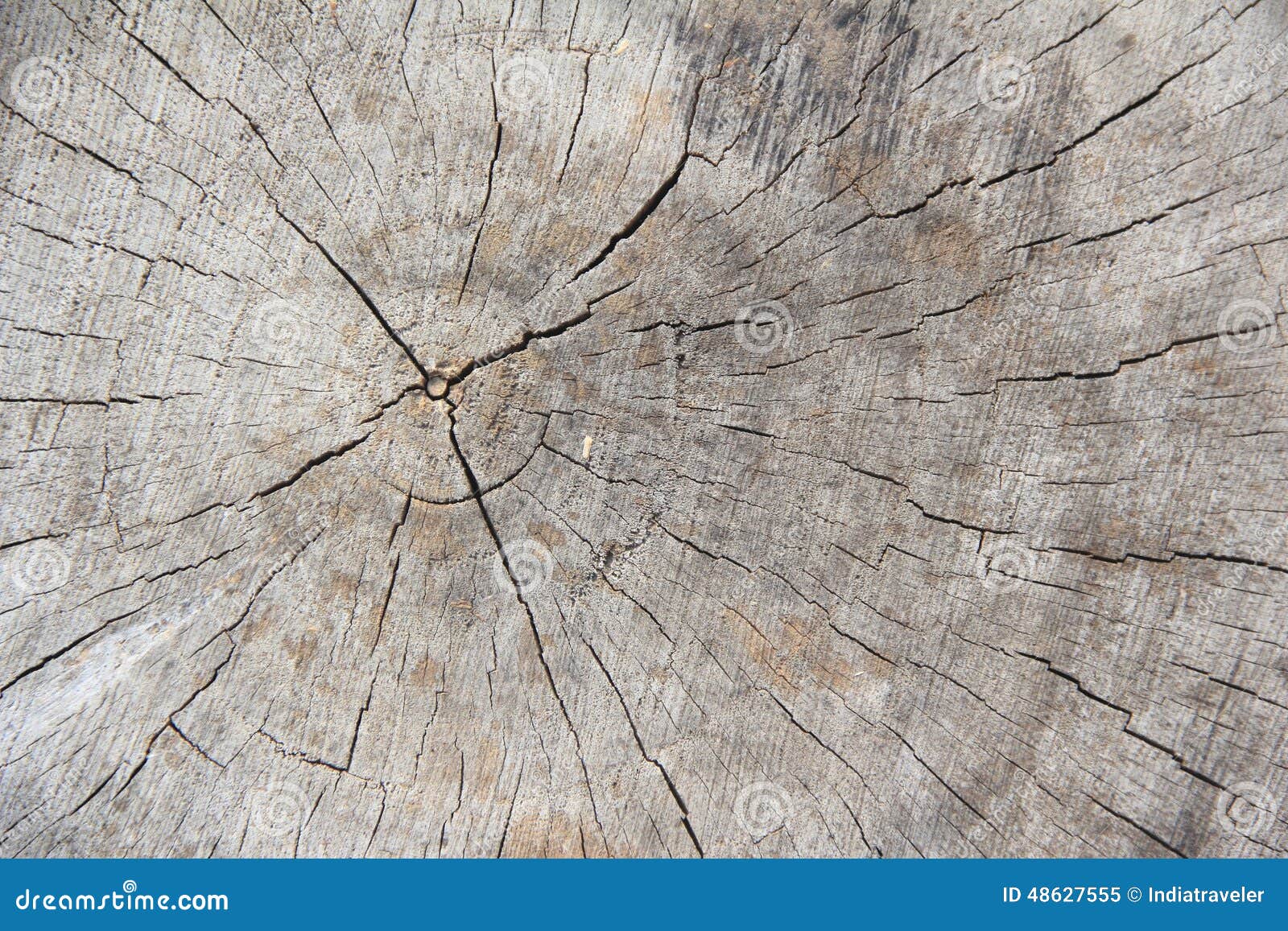 Old Wood Tree Rings Texture-2. Stock Image - Image of closeup, detail ...