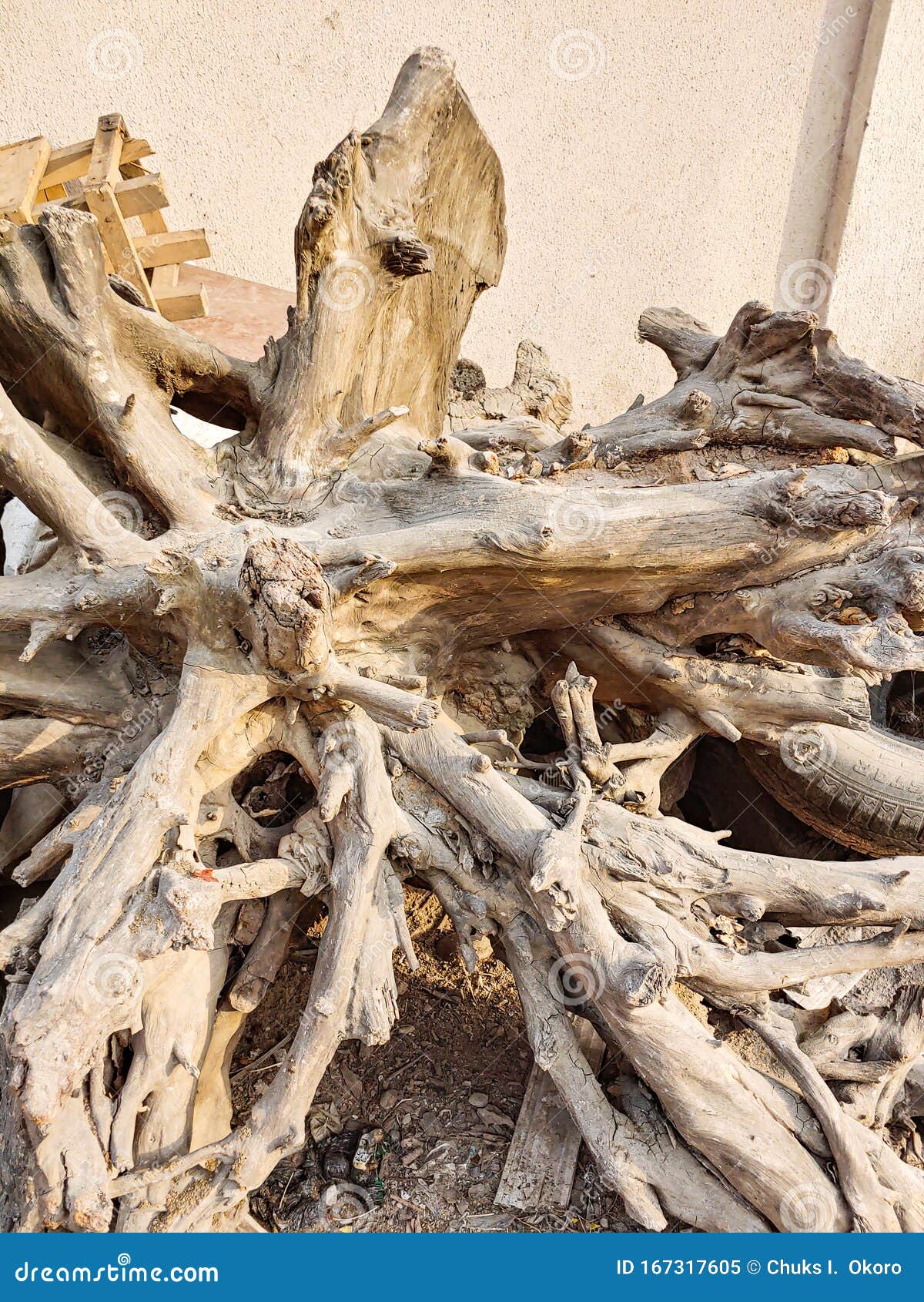 Old Wood Tree Root Nature Arts Stock Image - Image of root, nature ...
