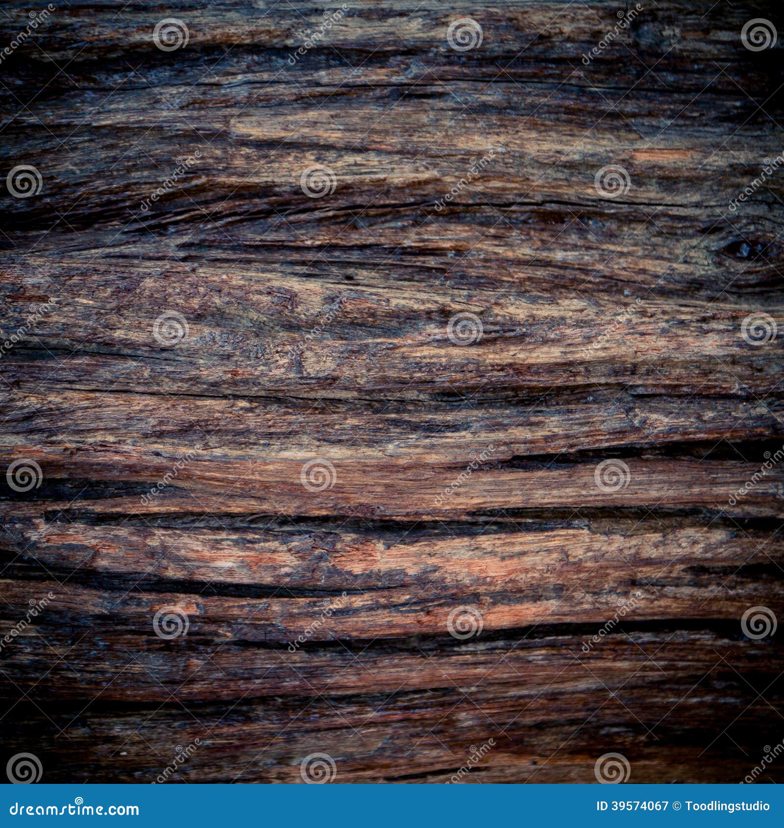 Old Wood Tree Texture Background. Stock Image - Image of wood, tree ...