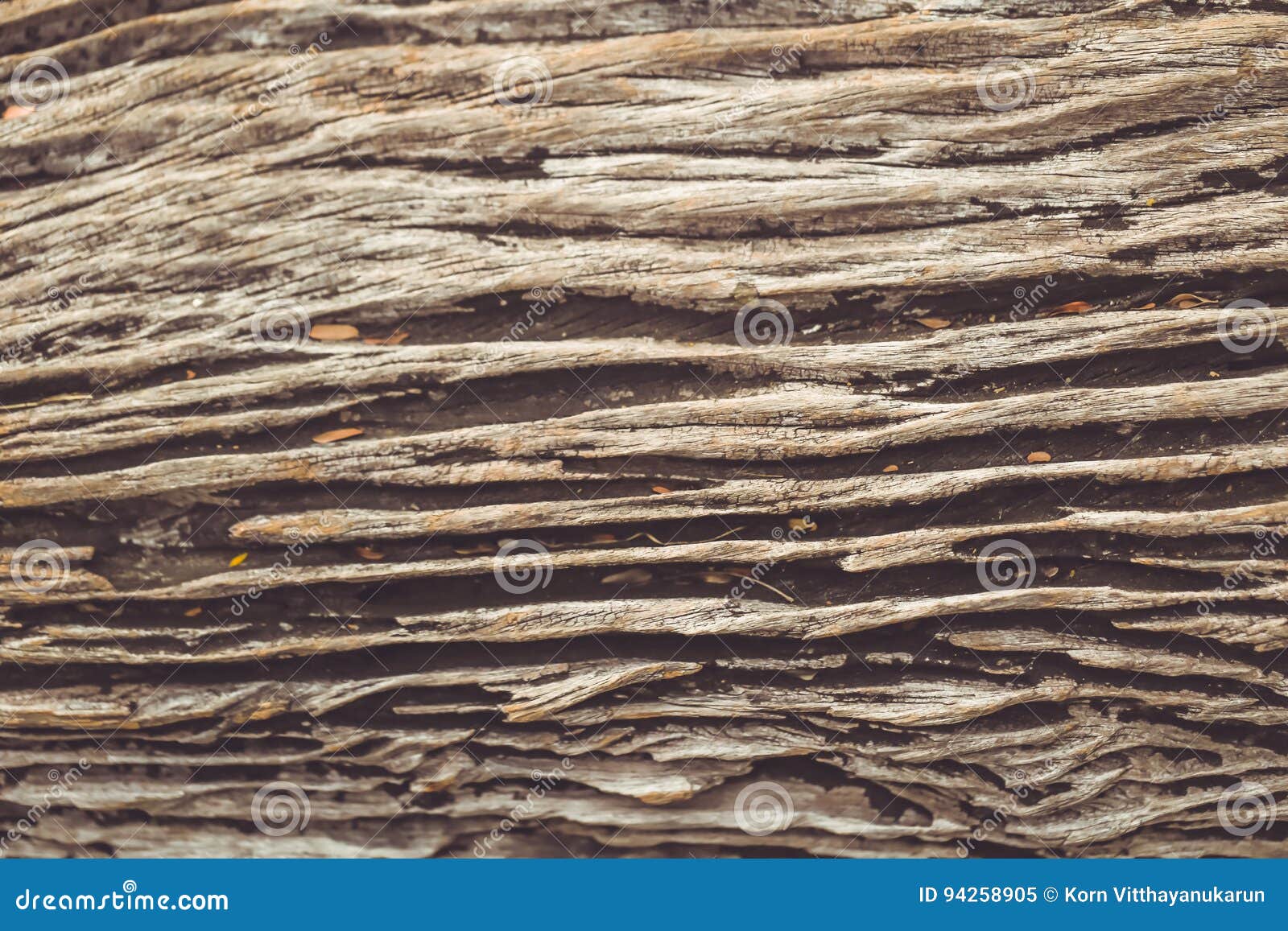 Old Wood Tree Texture Pattern Background Stock Image - Image of board ...