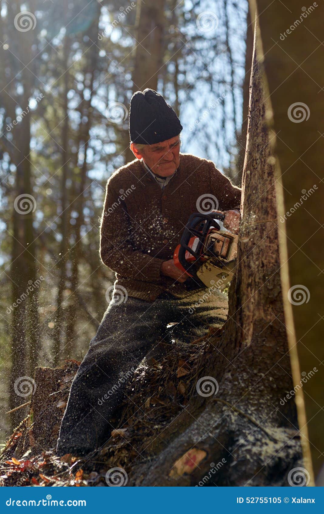 Old Woodcutter at Work with Chainsaw Stock Image - Image of caucasian ...